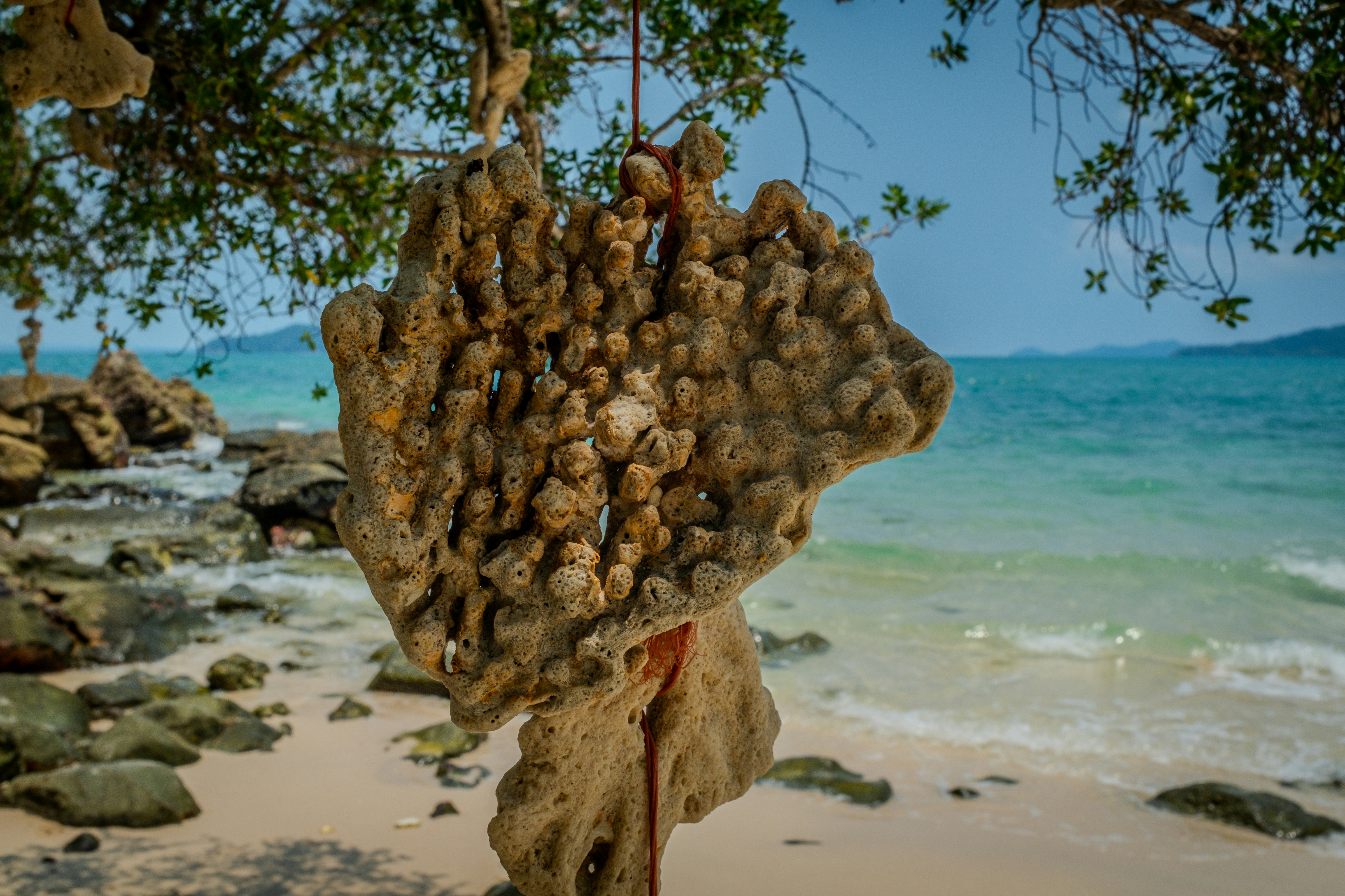 Hanging Coral Monolith Over a Teal Caribbean Shore