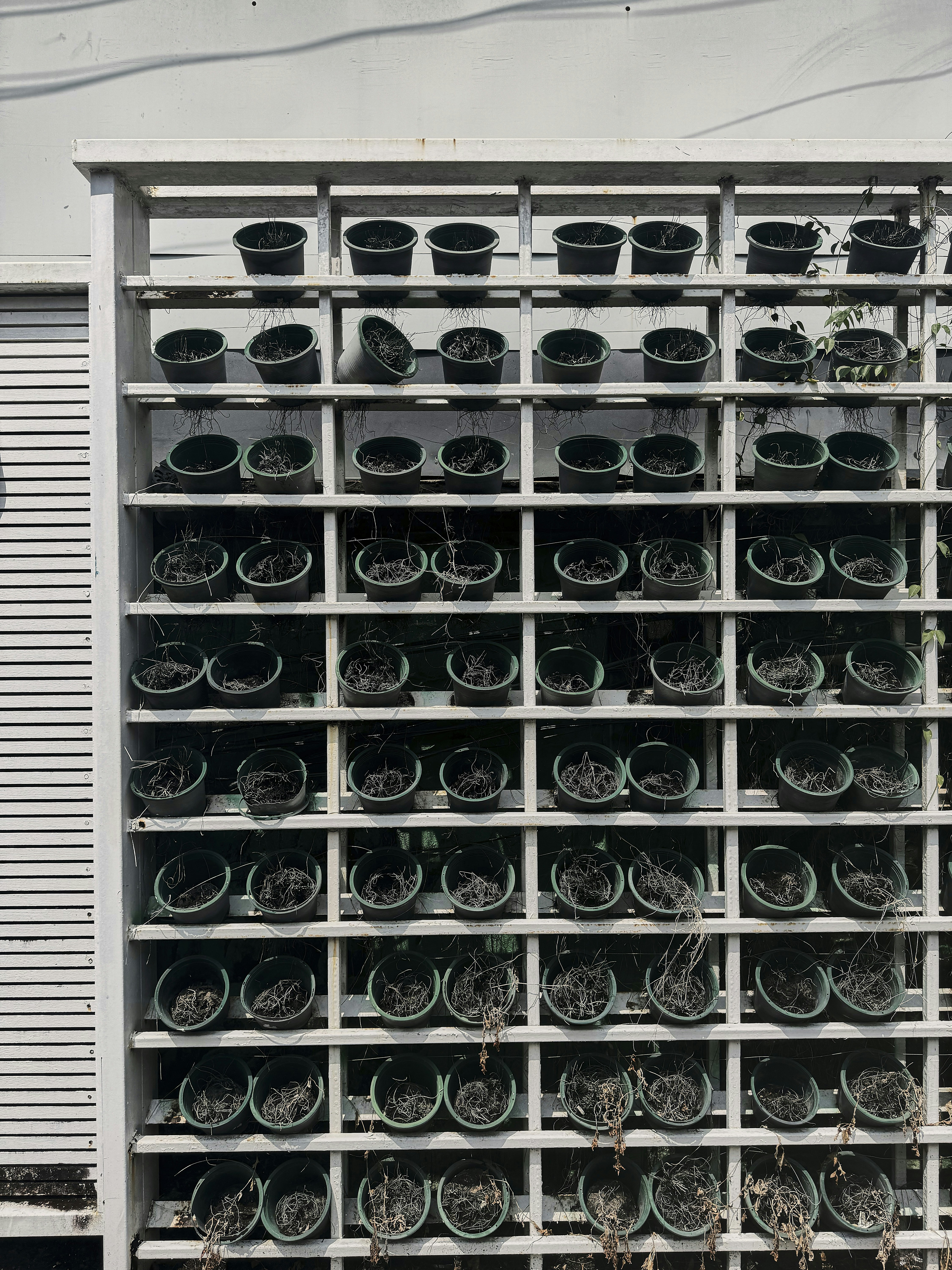 A bunch of pots that are sitting on a shelf photo – Free Wallpaper ...