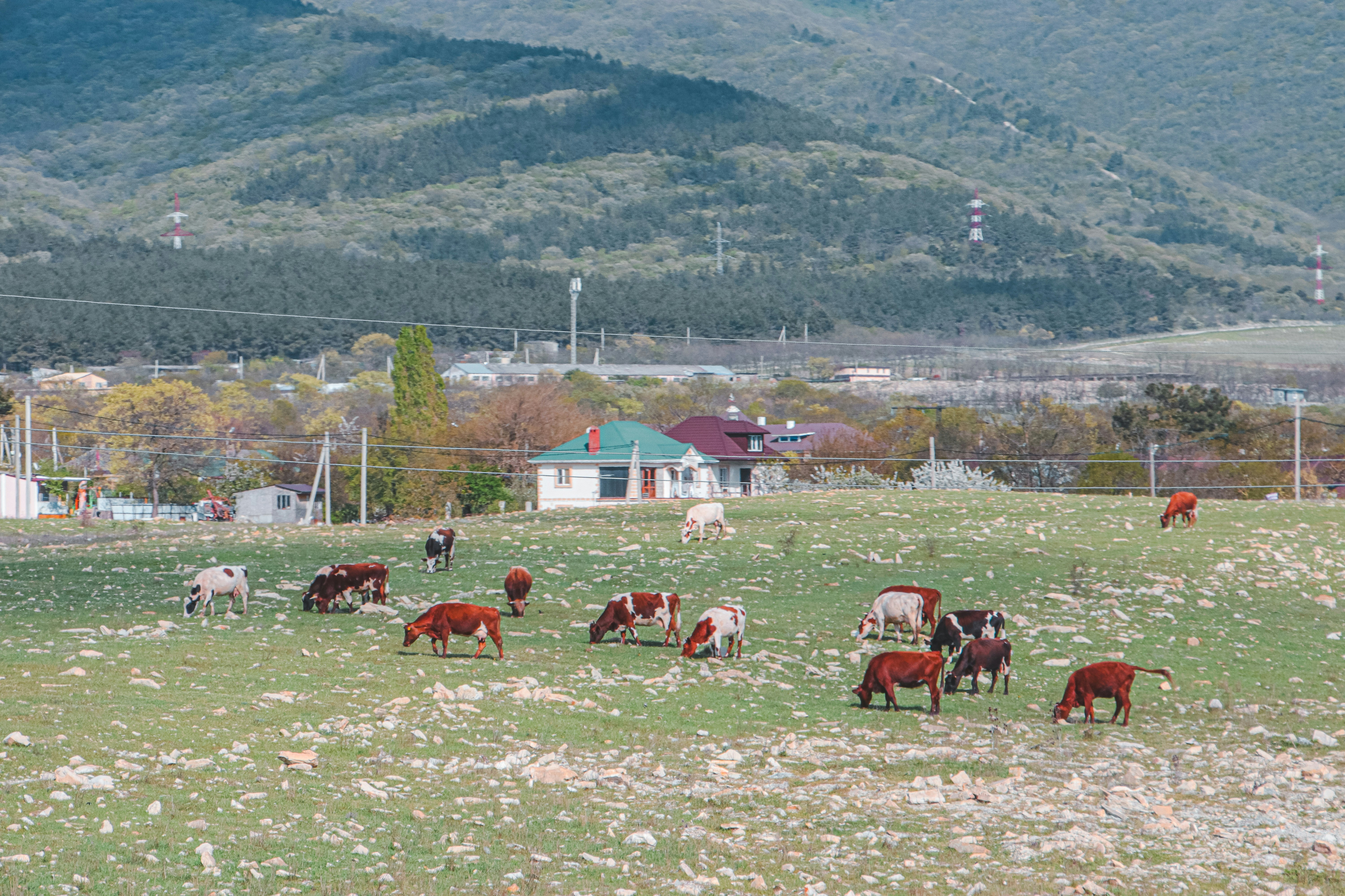 Photo by Khristina Sergeychik with Canon EOS 80D