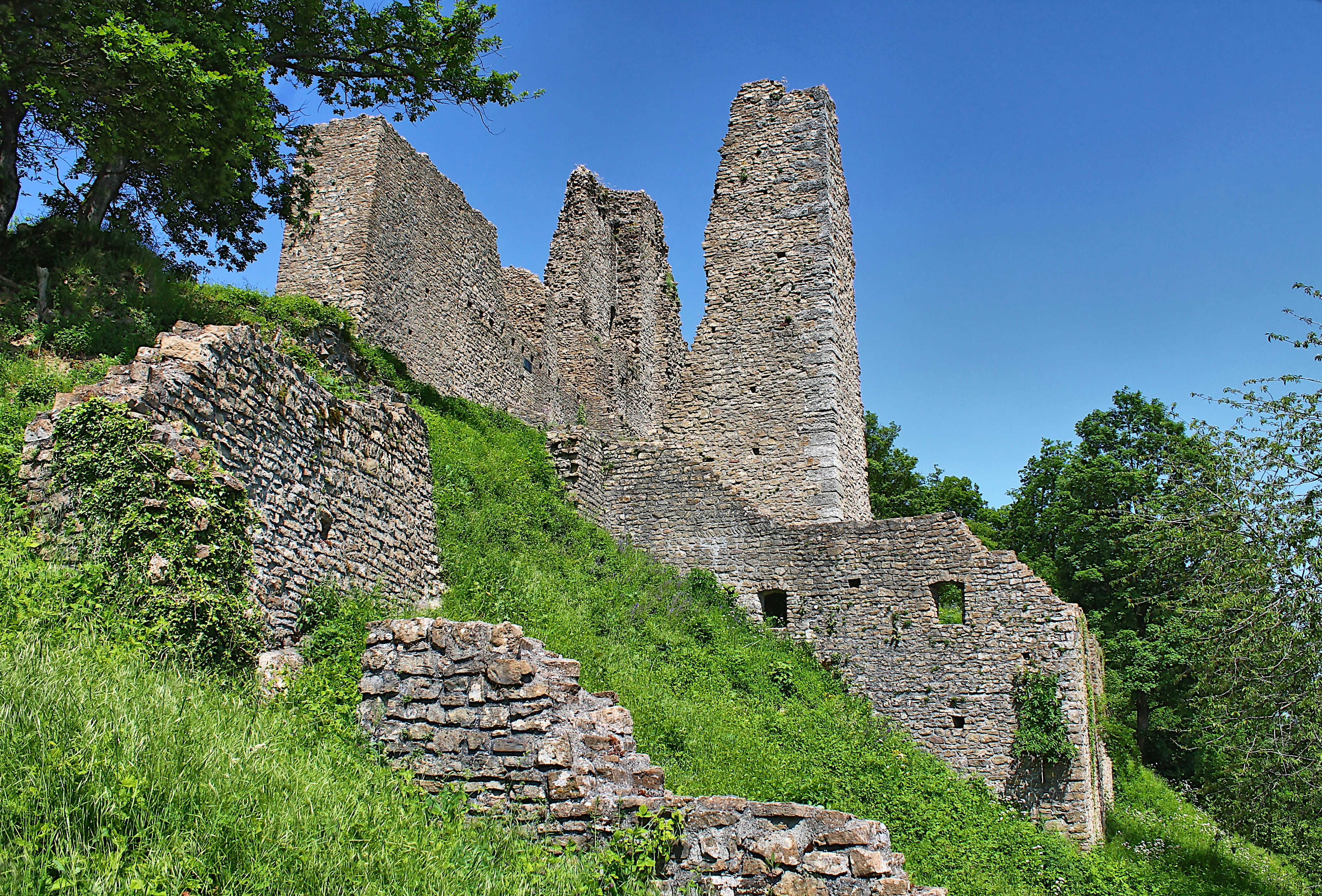 Ruins of Schenkenberg Castle surrounded by lush greenery under a clear blue sky.