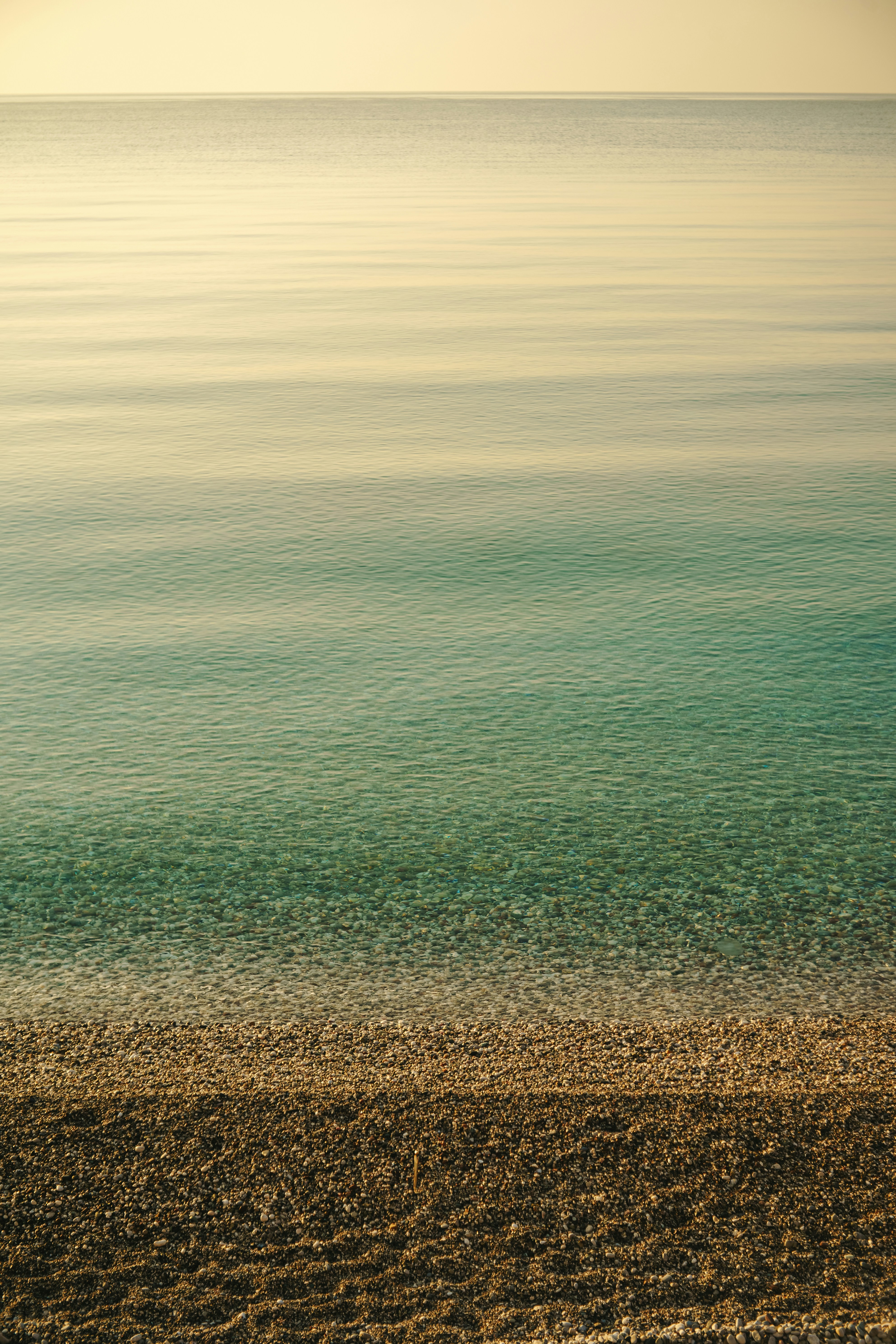 Verdant Sea: Quiet Gradient of Shore and Sky