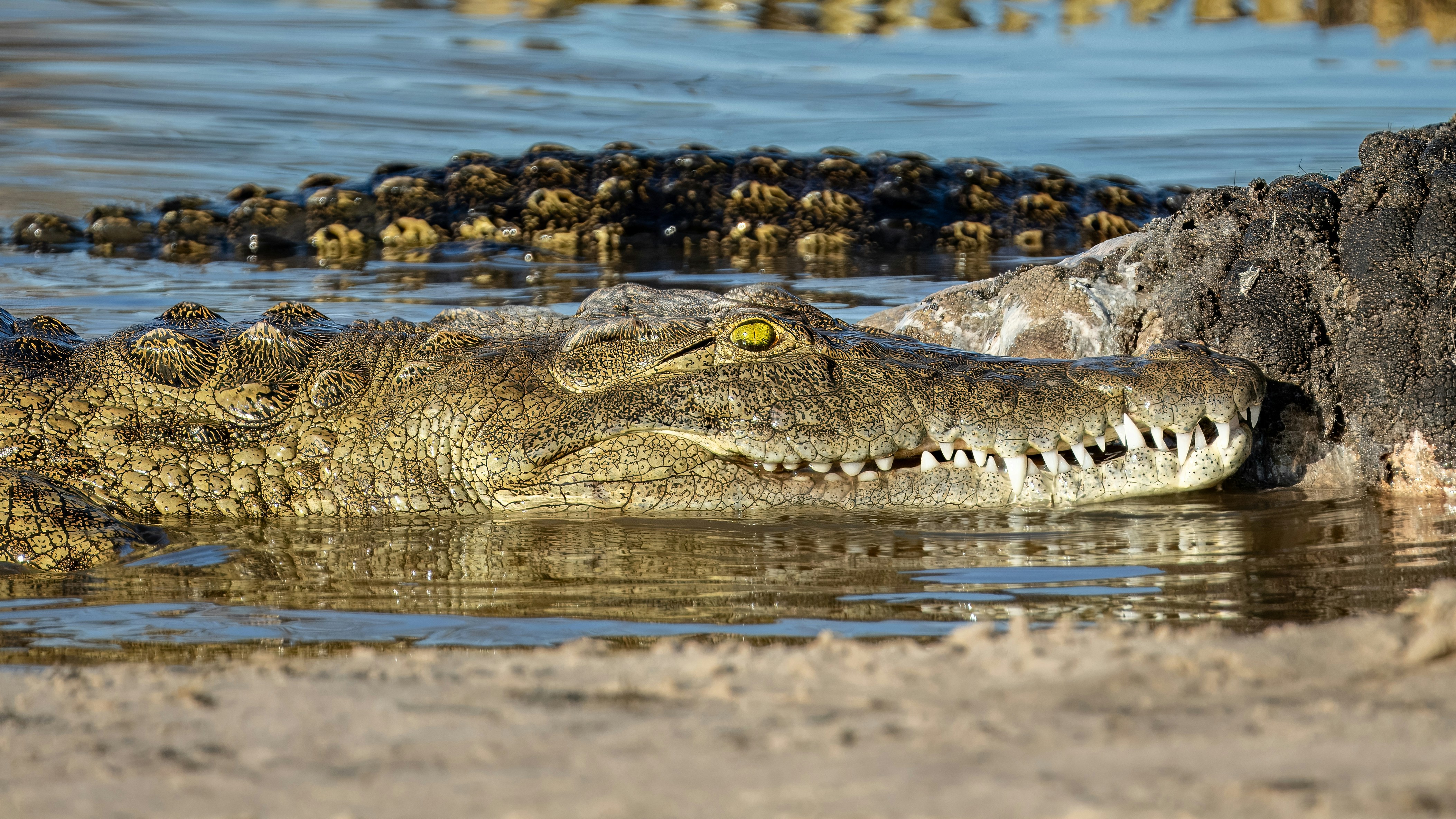 Photo by Jonas with Sony Alpha 7R V