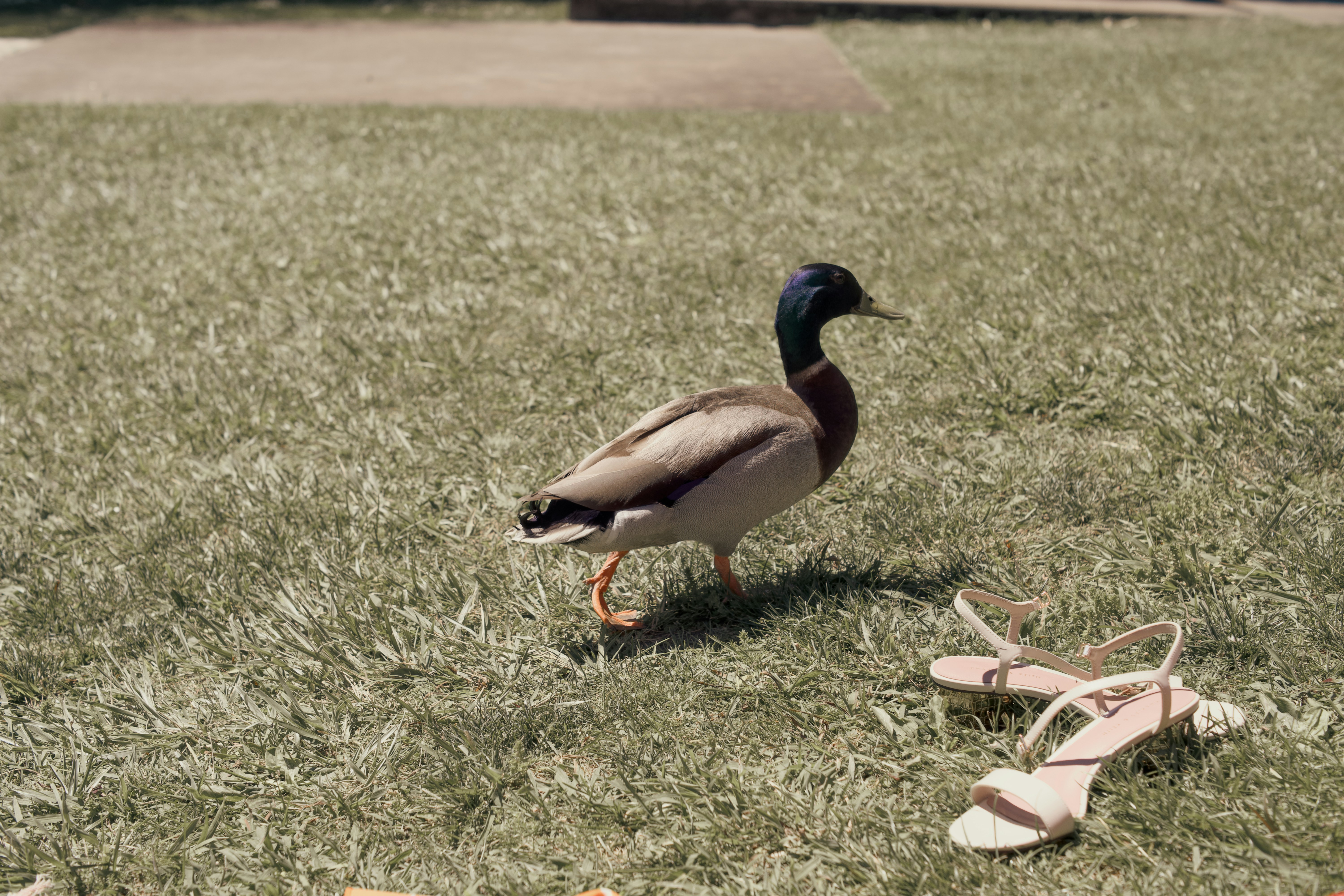 Edit with my presets: https://bodega.supply/collection/photo-presets