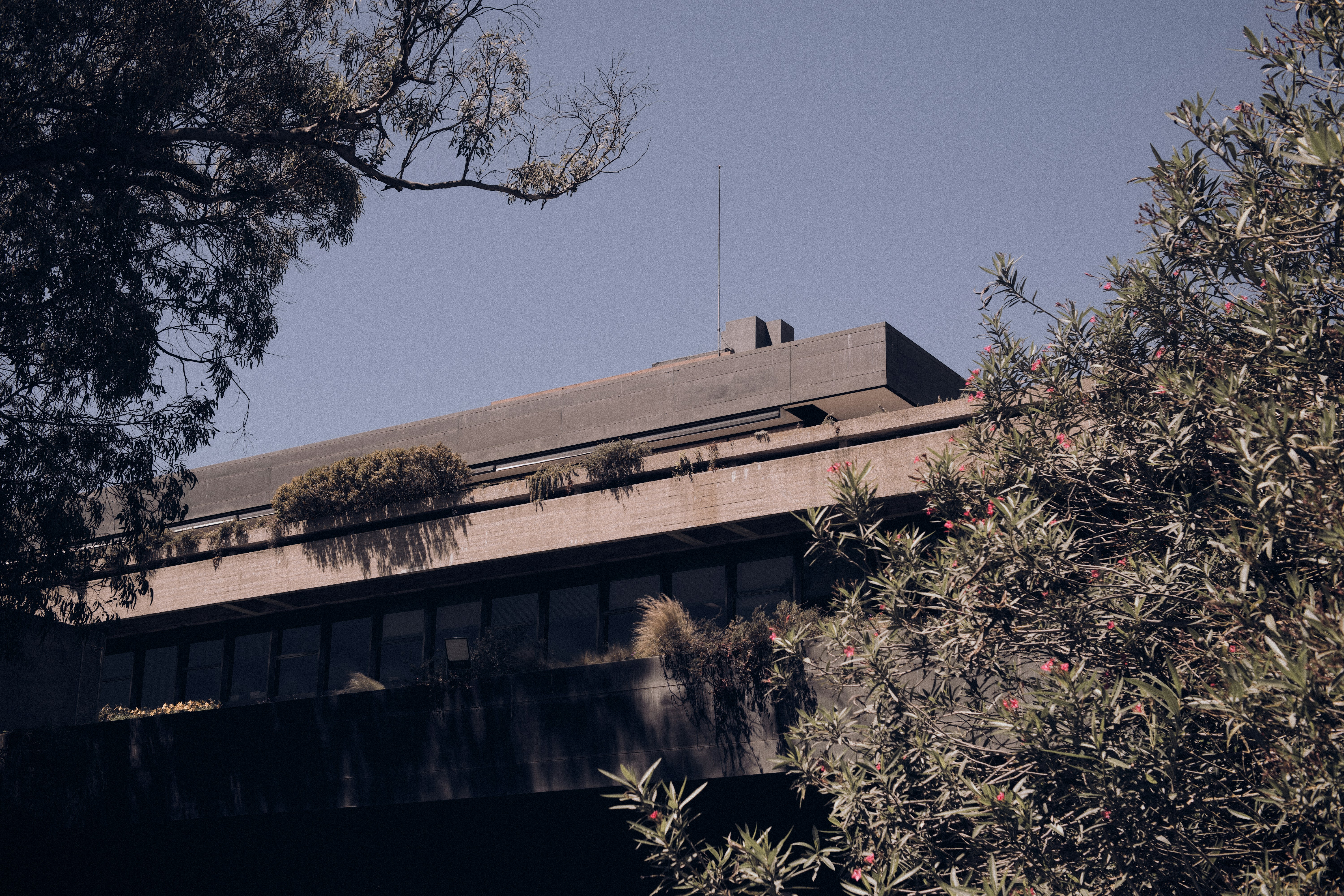 Enjoy a delightful urban escape with a picturesque picnic in the heart of two vibrant cities, Lisbon and New York. The lush greenery of Gulbenkian Park in Lisbon provides the perfect backdrop for a leisurely afternoon. Spread out a cozy blanket under the shade of a tree, surrounded by colorful flowers and the gentle rustle of leaves. Indulge in sweet, juicy berries and flaky croissants, savoring each bite as you soak in the serene atmosphere. In New York, find a peaceful spot in Central Park, amidst the bustling cityscape. Let the sun warm your skin as you unwind with a delicious spread of tre