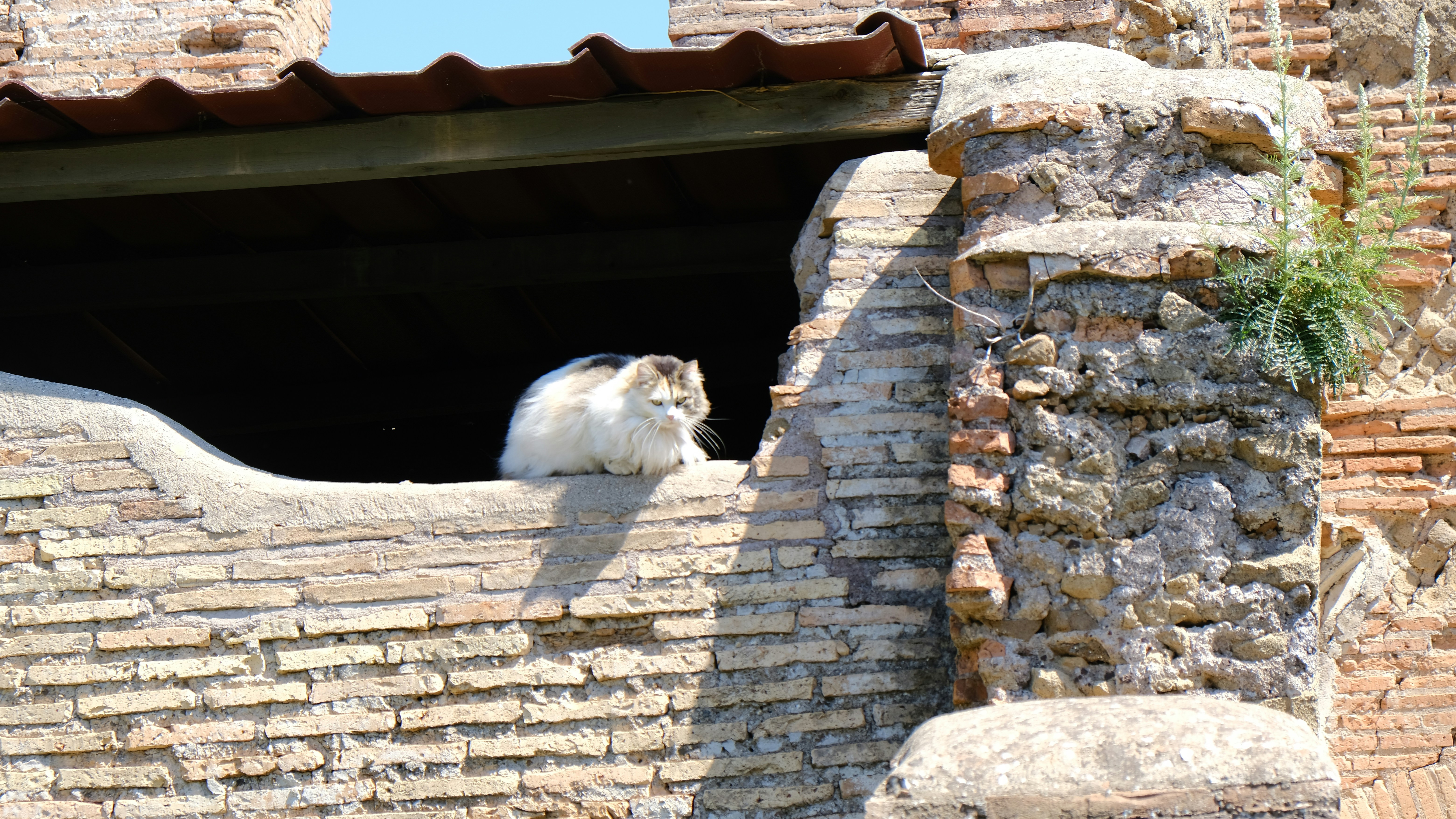 Photo by erika m with Fujifilm X-T30