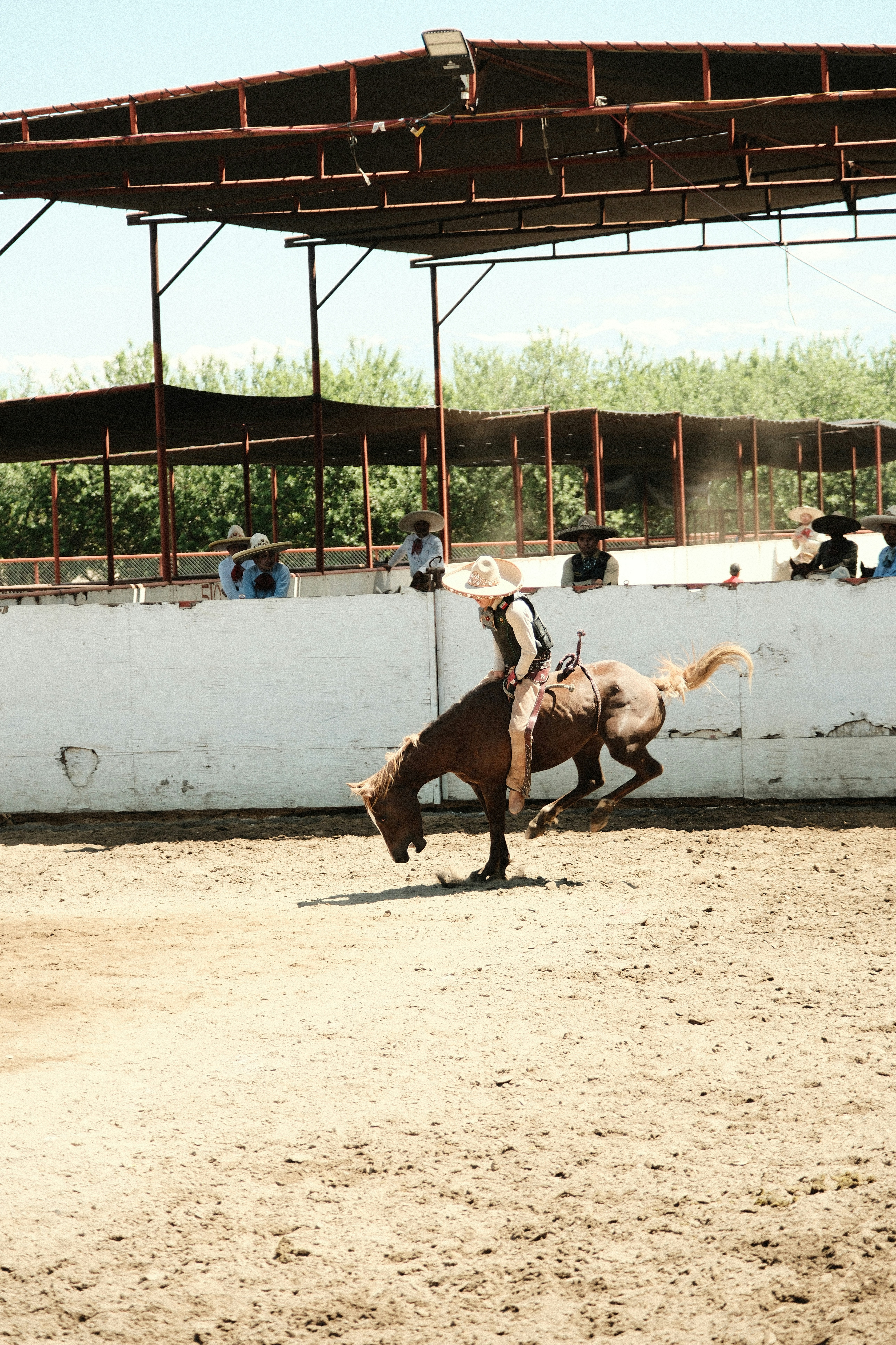 Buck and Rider in a Dusty Rodeo Ring