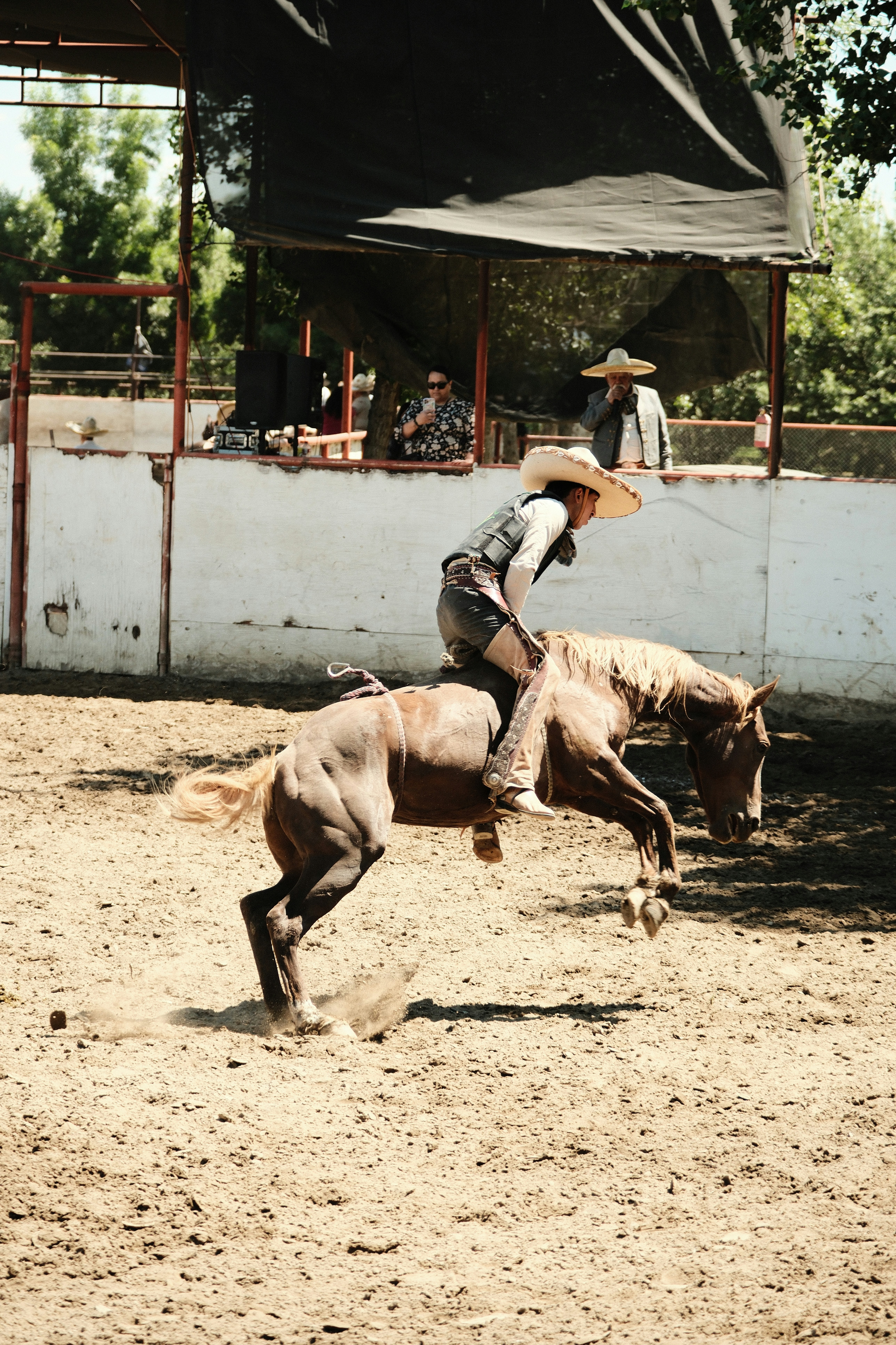 A man riding on the back of a brown horse photo – Free Woman Image on ...