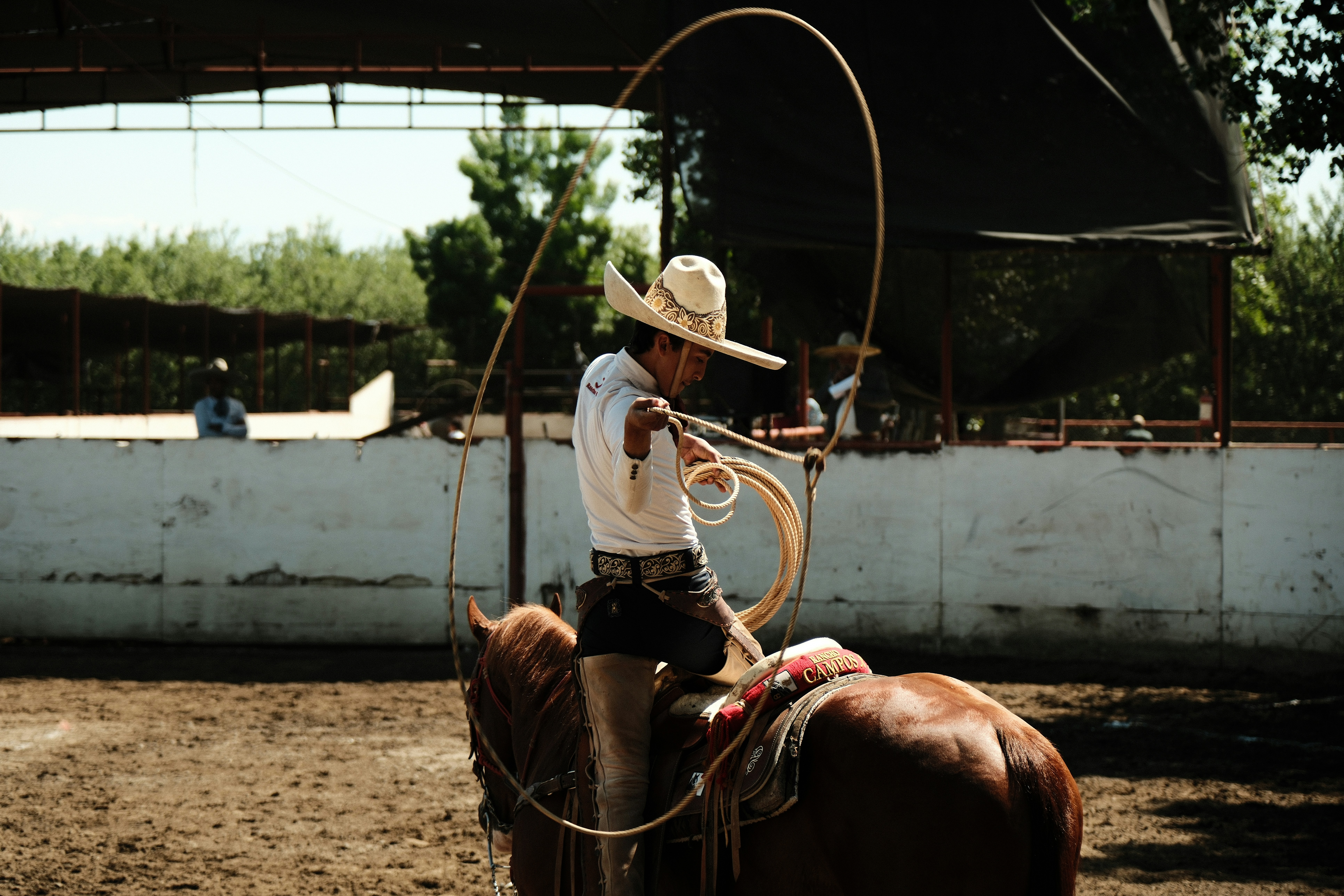 Rodeo Drawing Pictures | Download Free Images on Unsplash