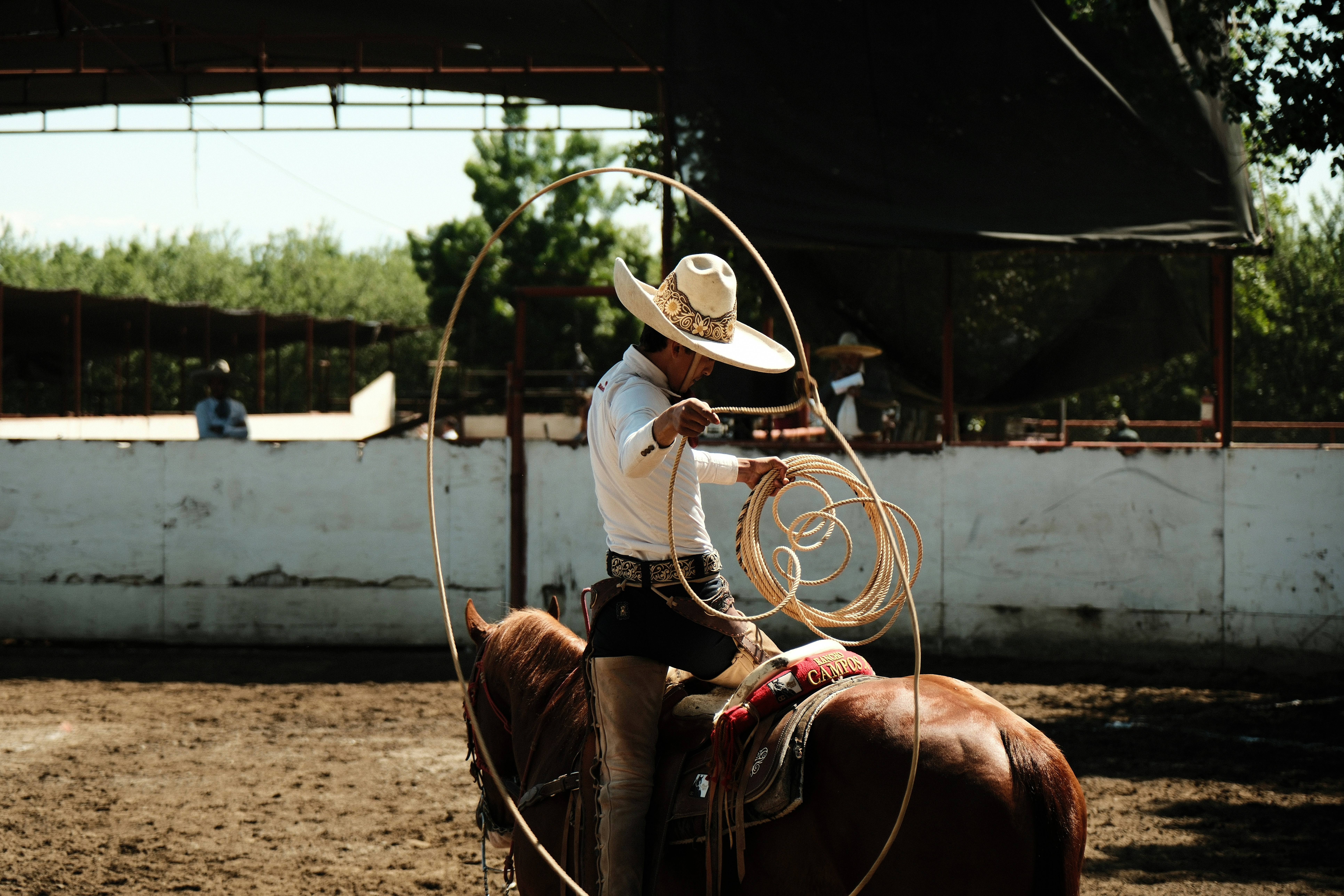 Rodeo Drawing Pictures | Download Free Images on Unsplash