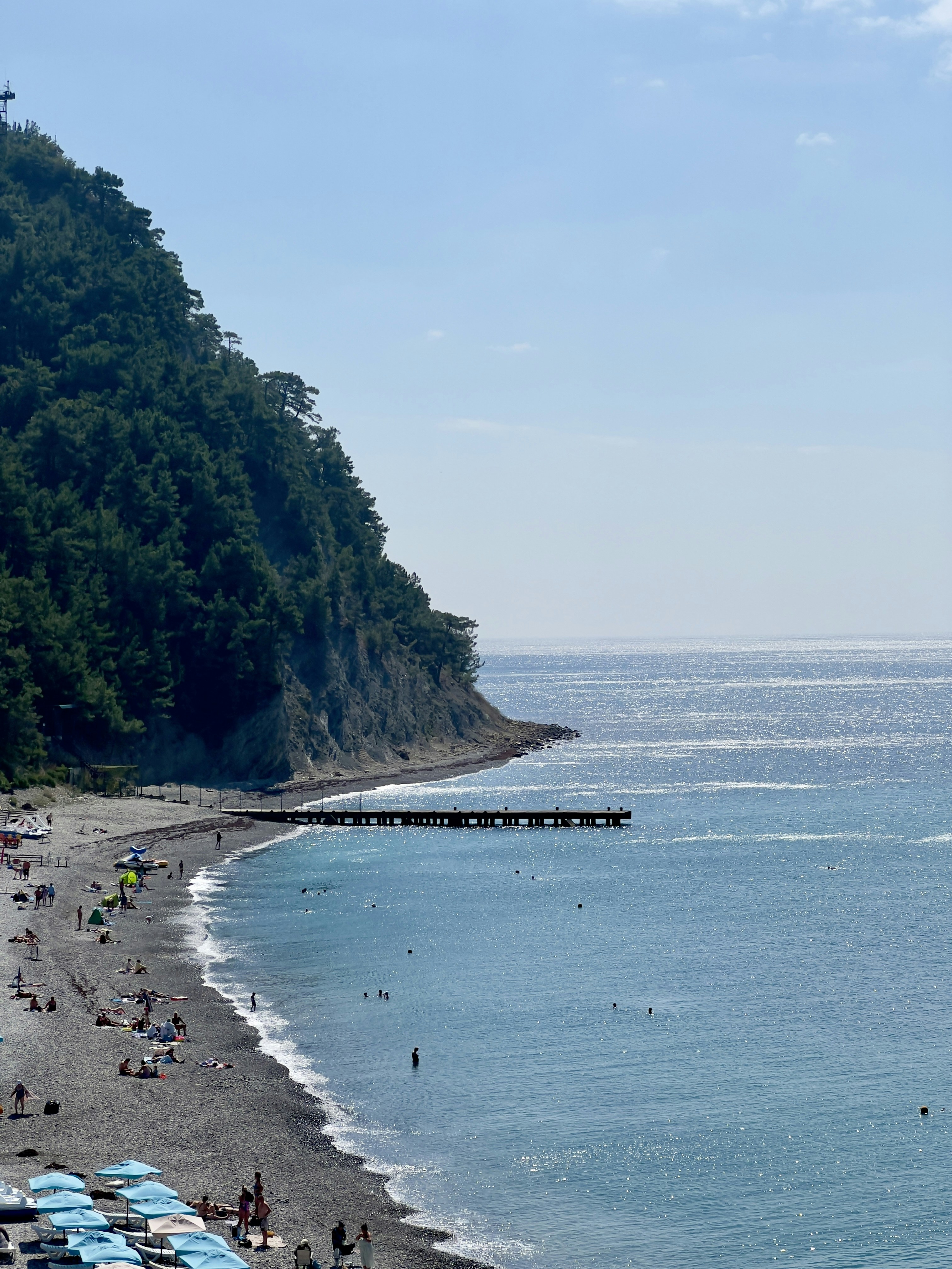Coastal Cove: Forested Cliffs Meet the Sea Lined with Sunlit Pebble Beach