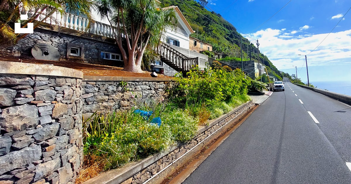 Un coche que circula por una carretera junto a una exuberante ladera ... Un coche que circula por una carretera junto a una exuberante ladera ...
