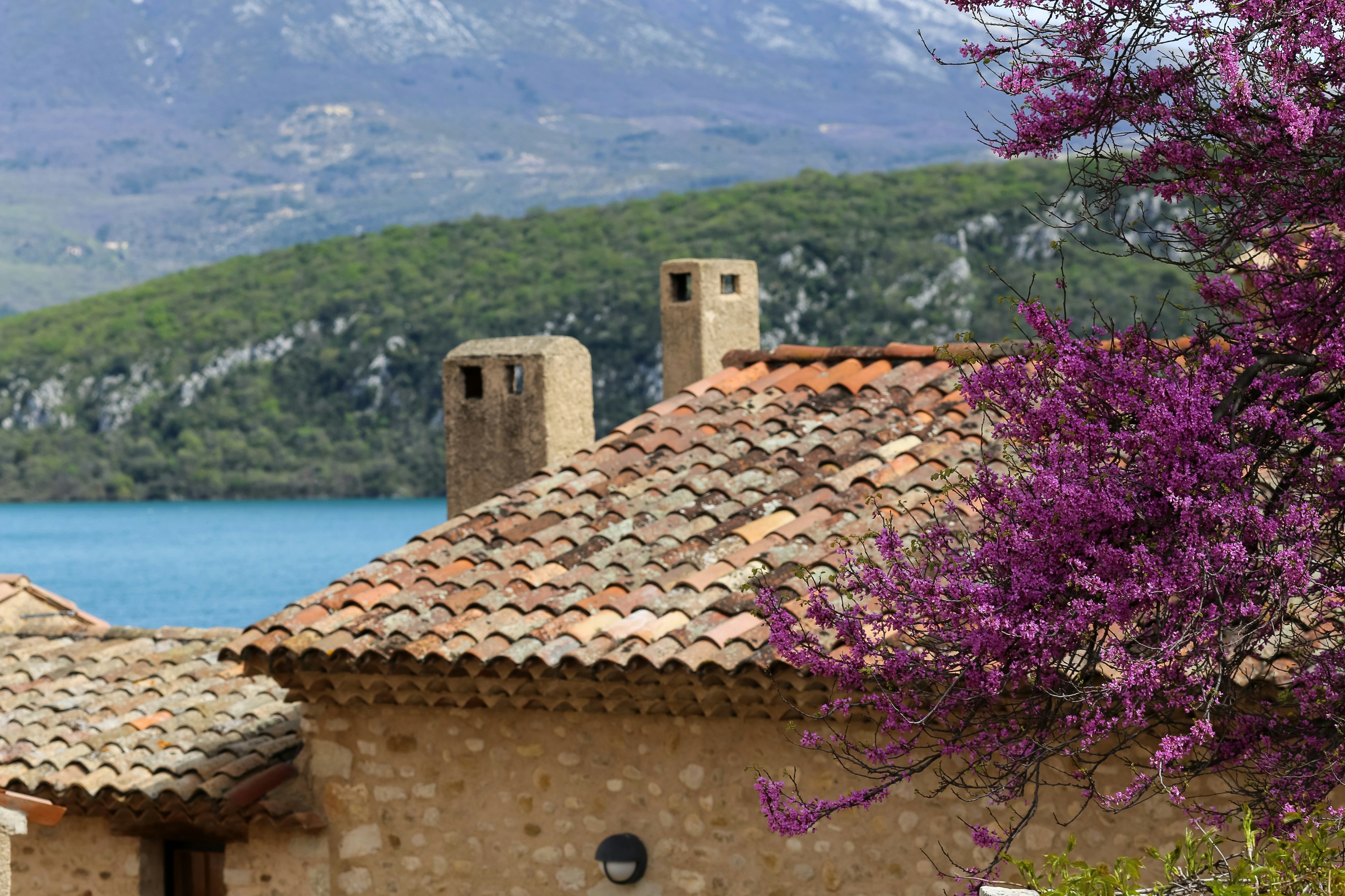 Chimneys and Bougainvillea: A Rustic Roof Framing a Lake View