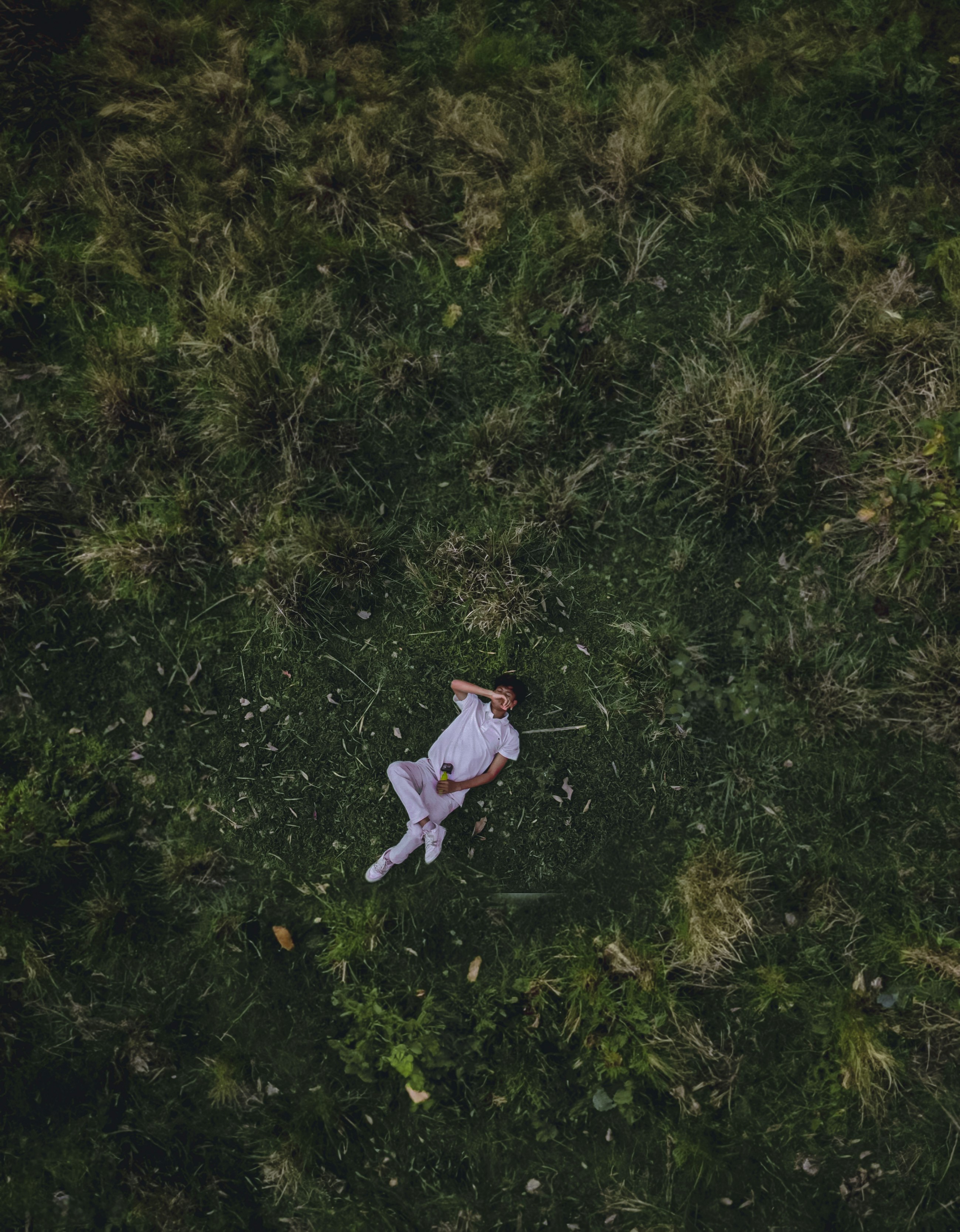 An overhead view of a teddy bear laying in the grass photo – Free Green ...