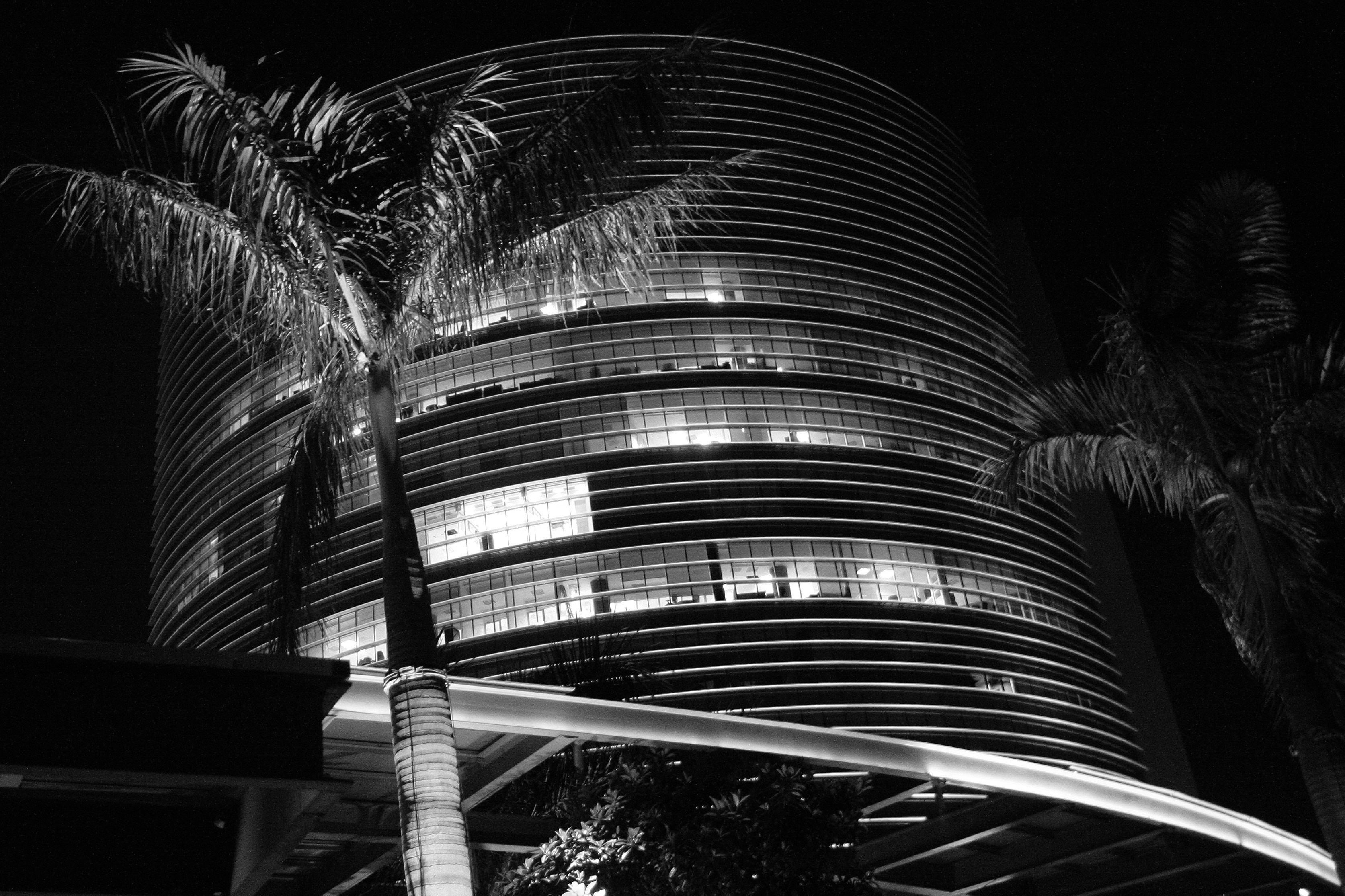 Night Orbit: Palm-Framed Glass Tower in Monochrome