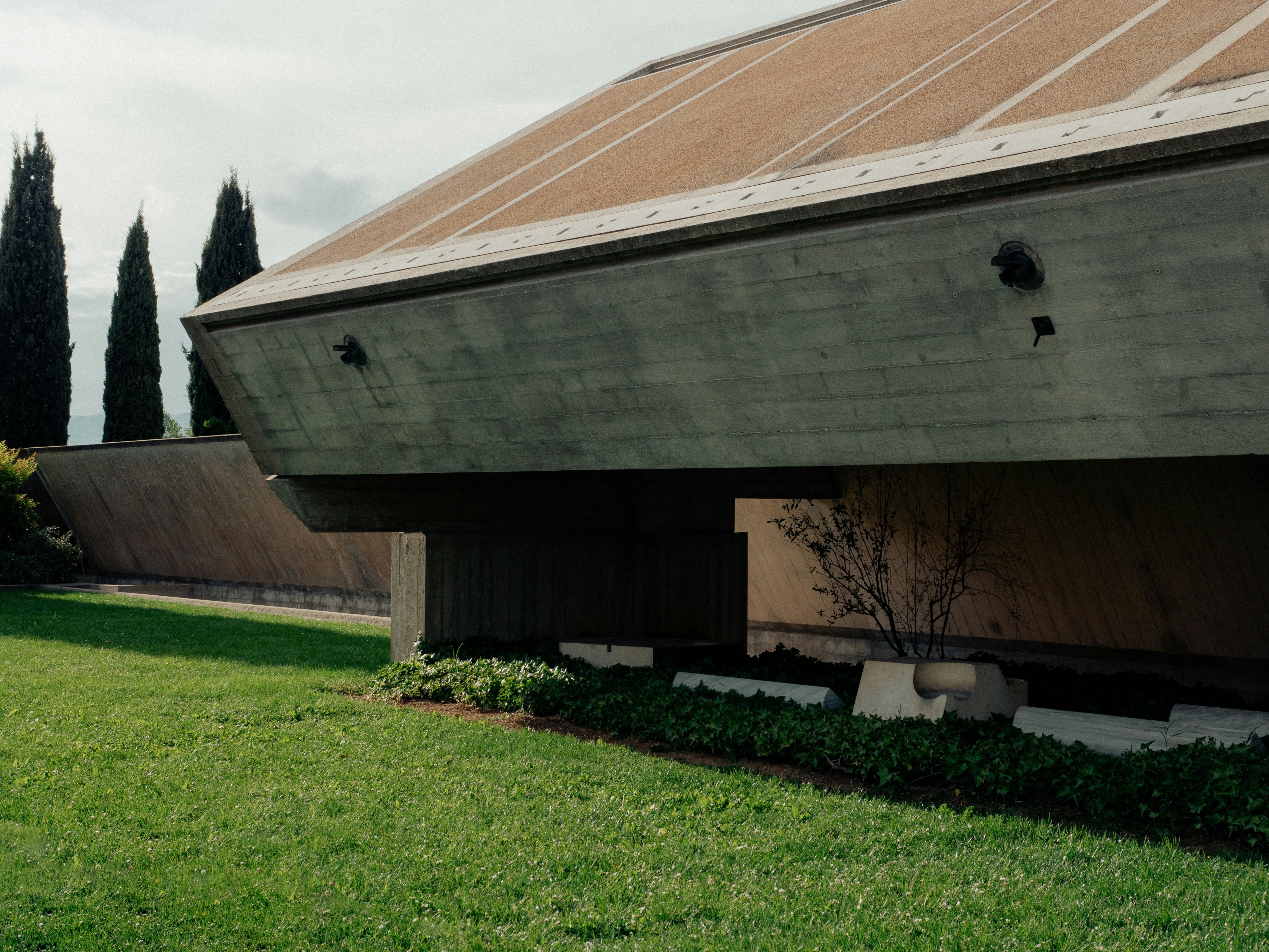 Angular Elegance Amidst Verdant Surroundings