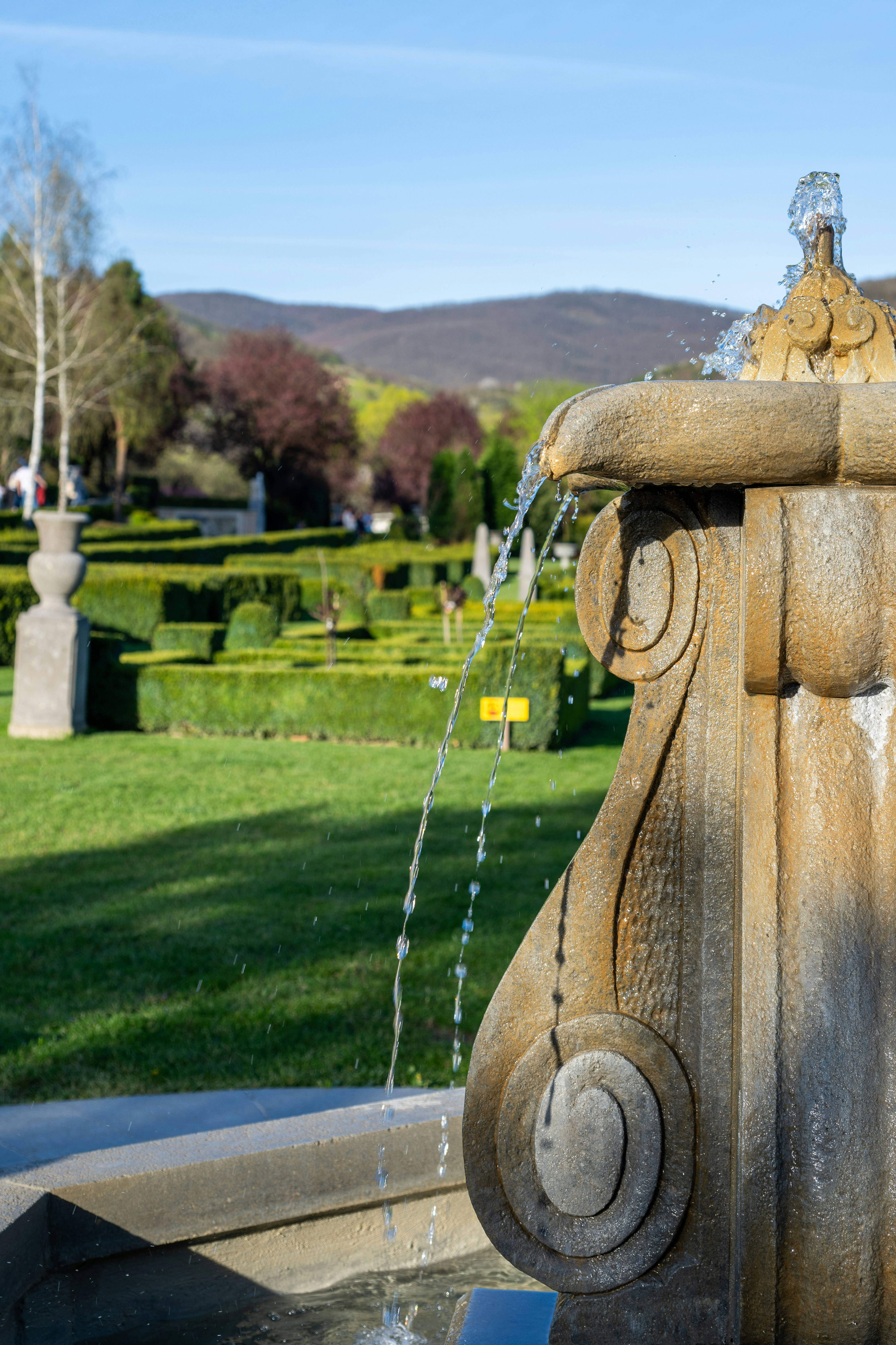Carved Fountain Glint in a Sunlit Formal Garden