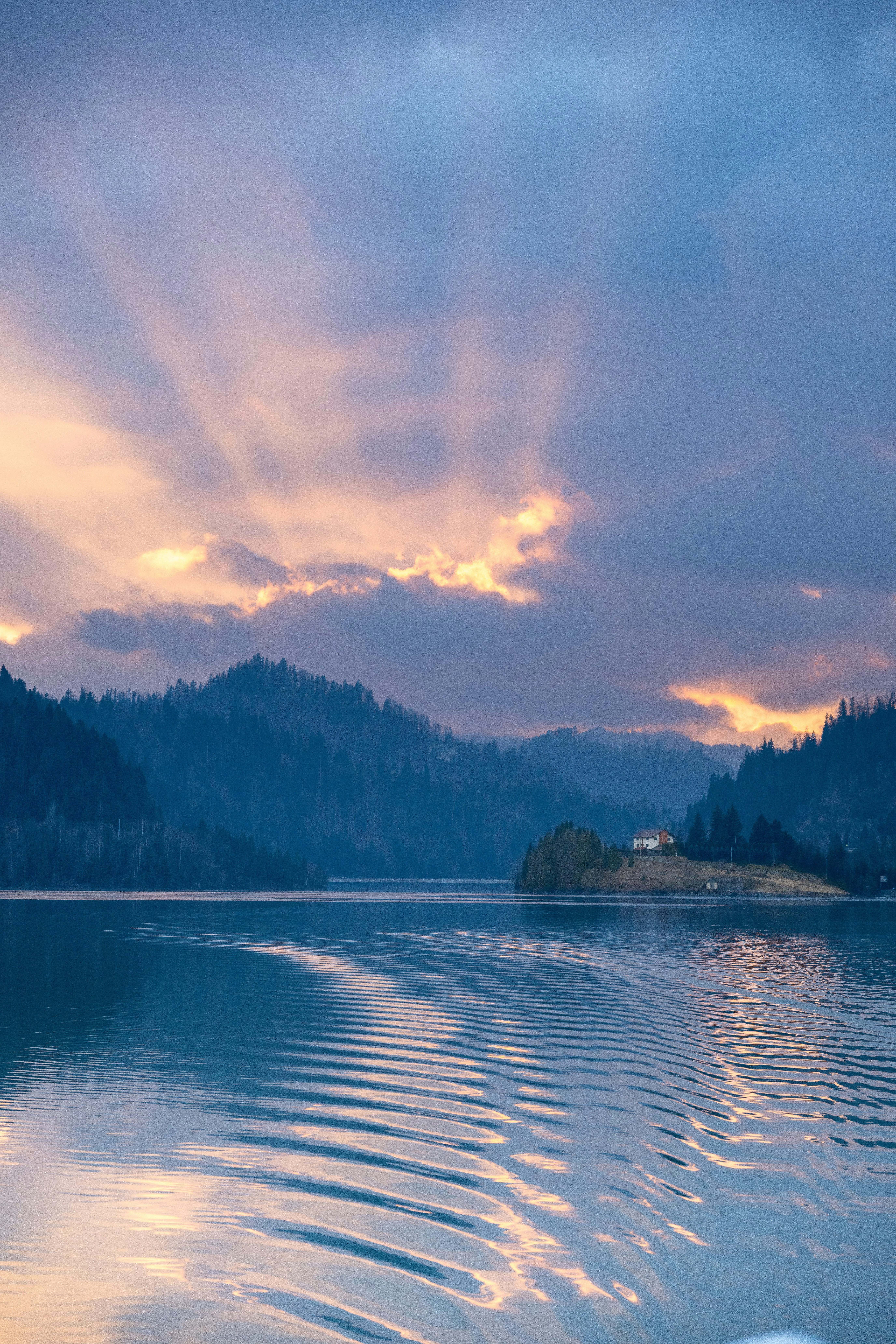 Sandra-Beatrice Molnar (@msandrab) | Unsplash Photo Community