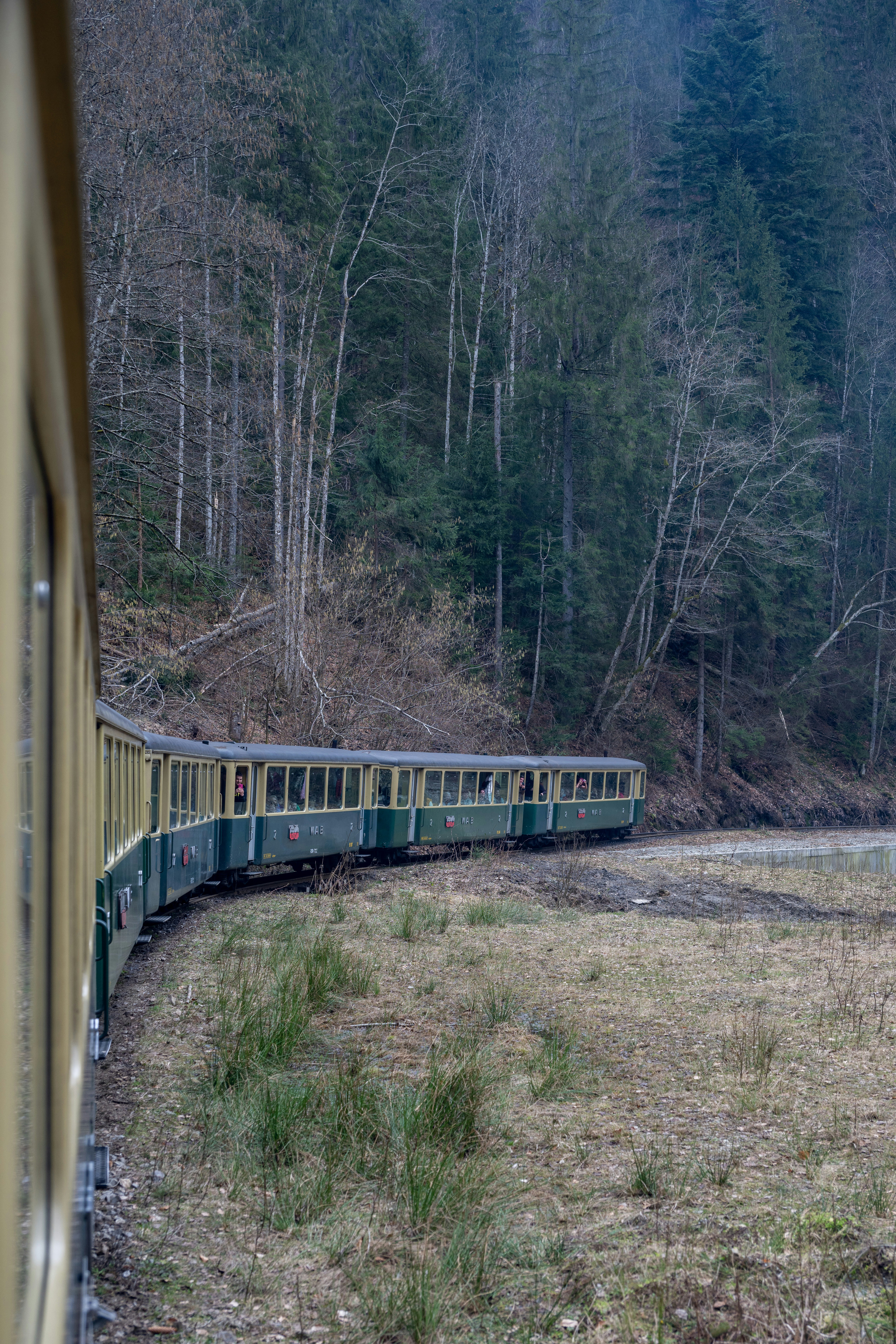 Green Carriages Curl Along a Forested Riverbend