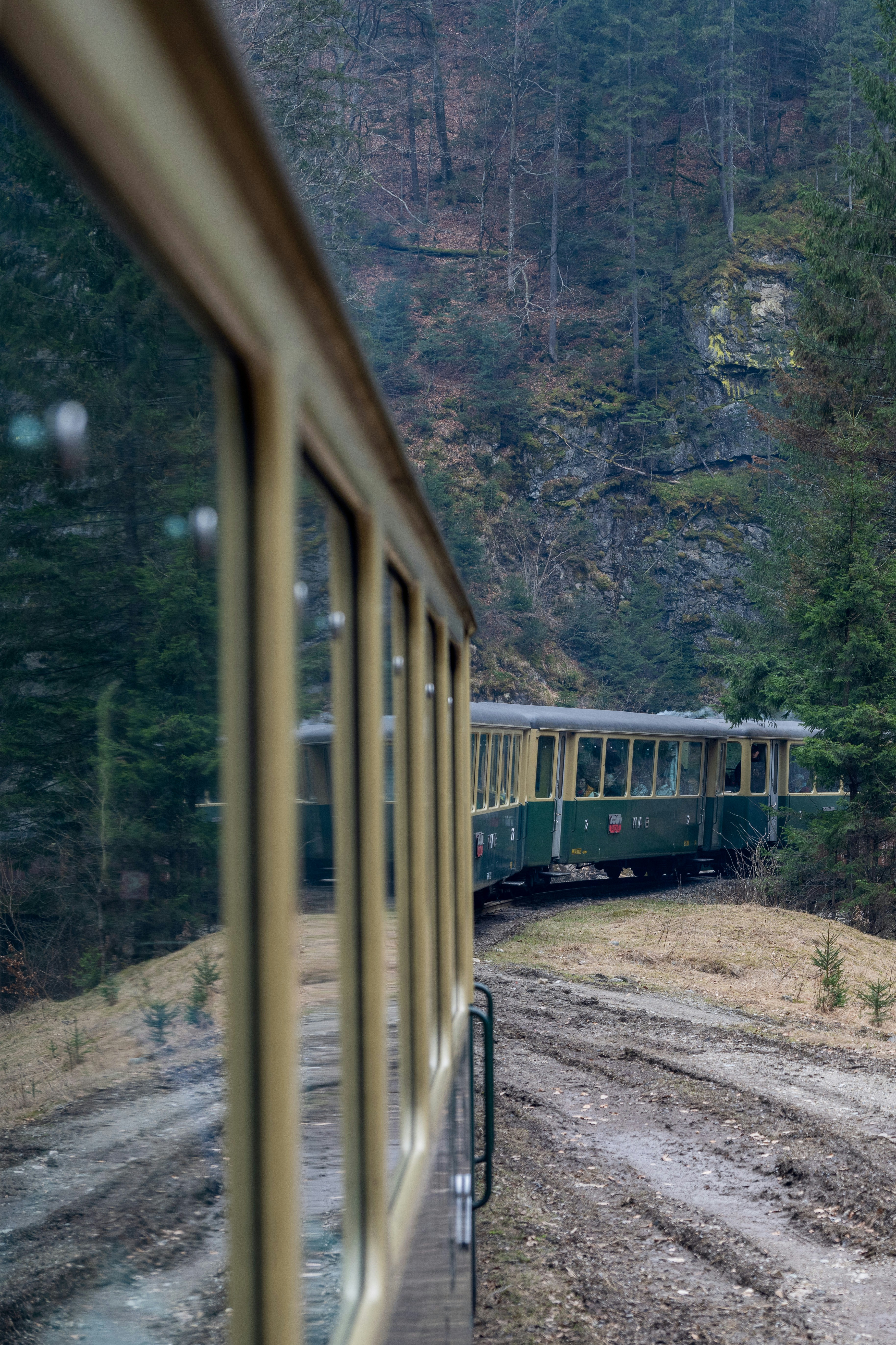 Carved by Tracks: a winding, mossy railway Carriage in a forested descent