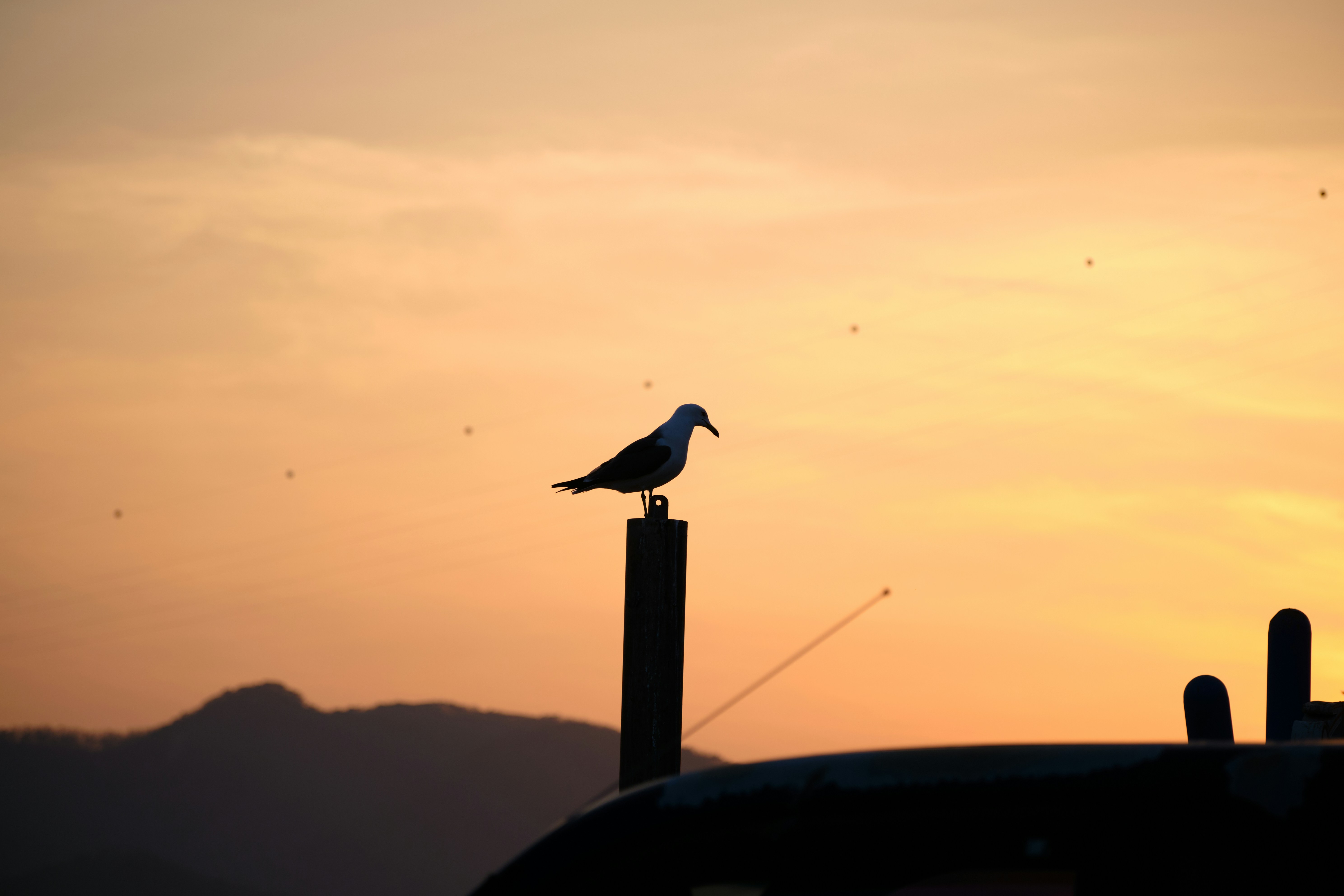 Dusk Sentinel: A lone gull on a harbor post beneath ember skies