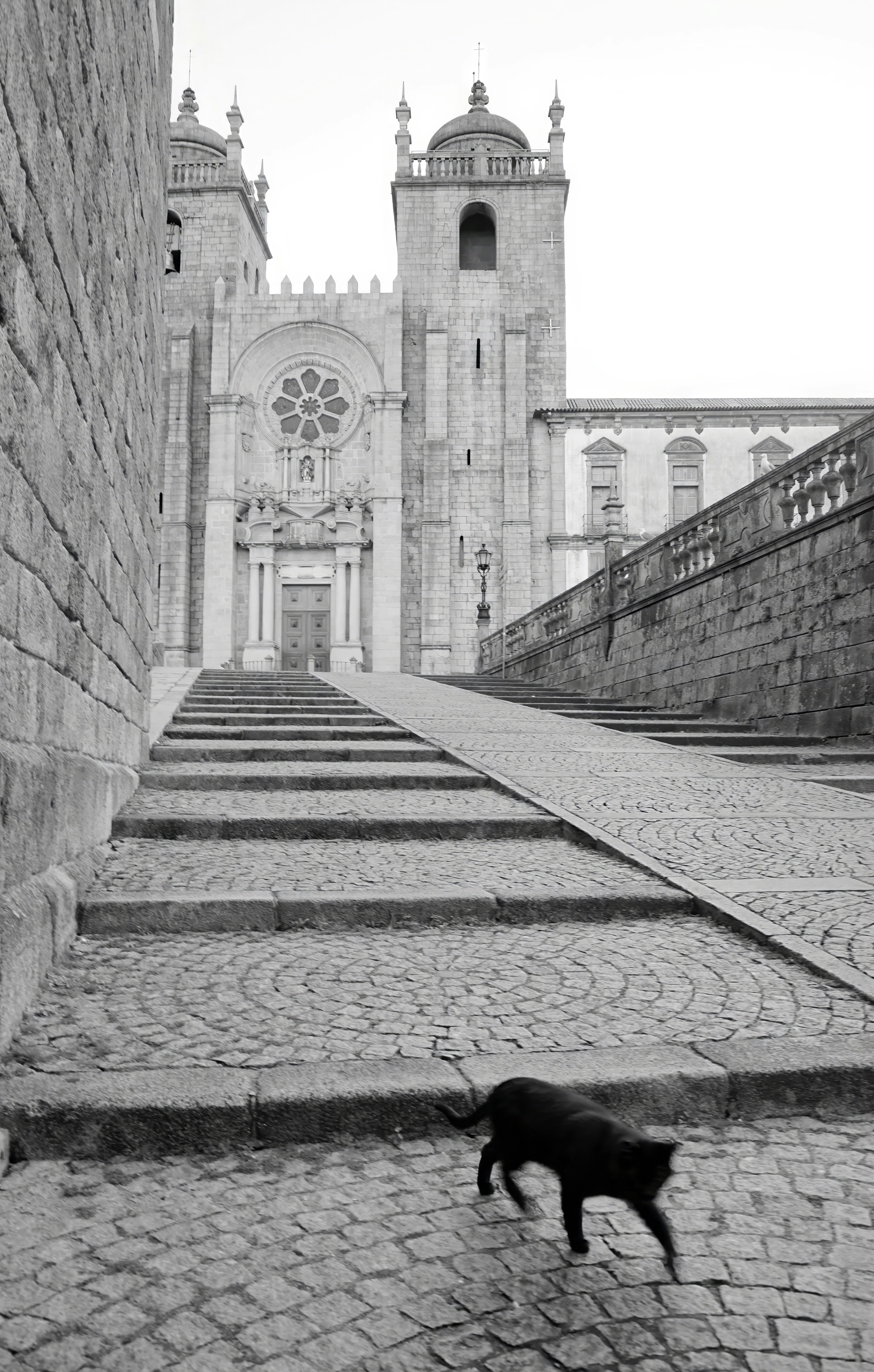 Gothic Ascent: Steps to a Rose-window Portal