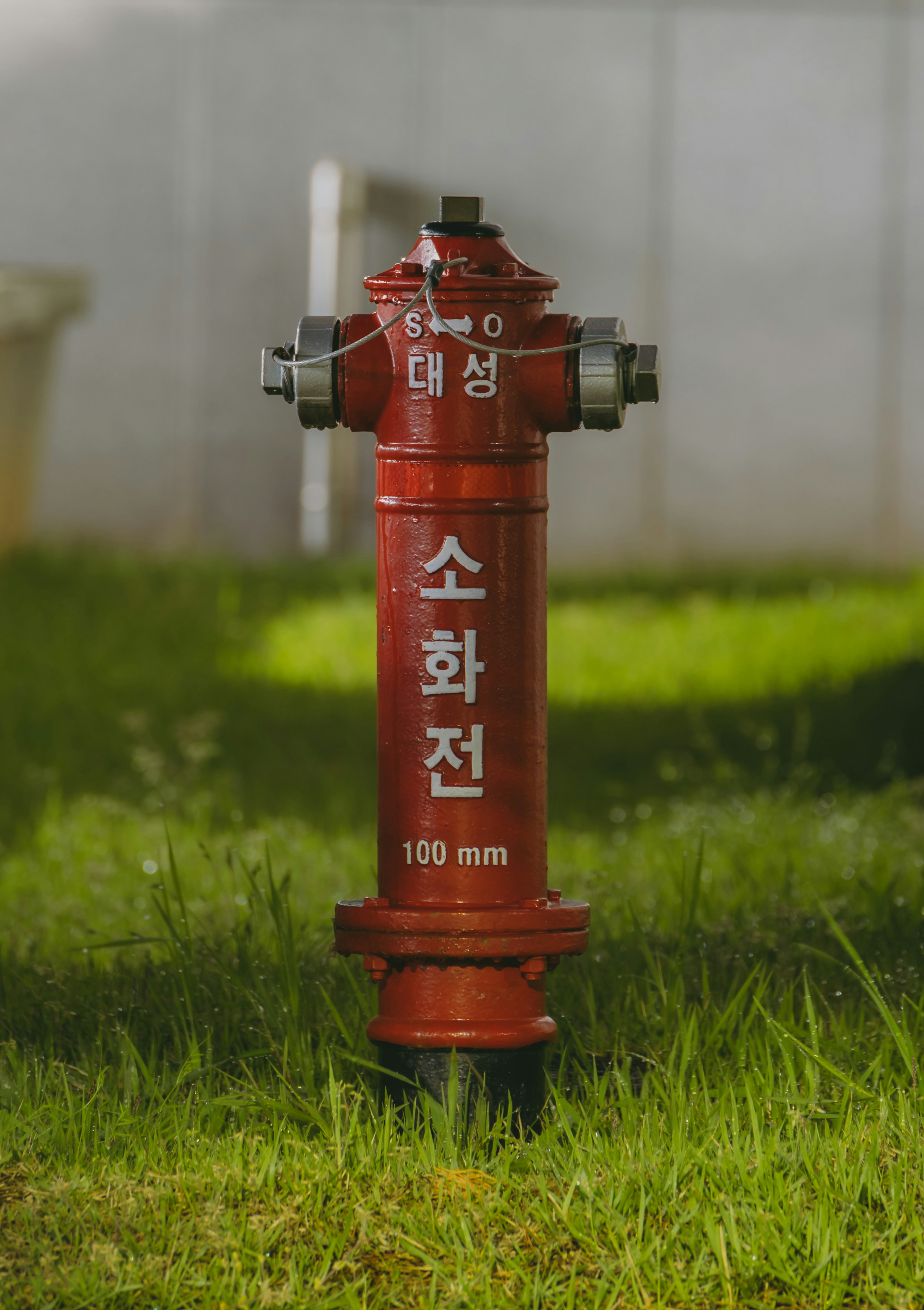 Crimson Hydrant with Korean Script Standing in a Quiet Green Patch