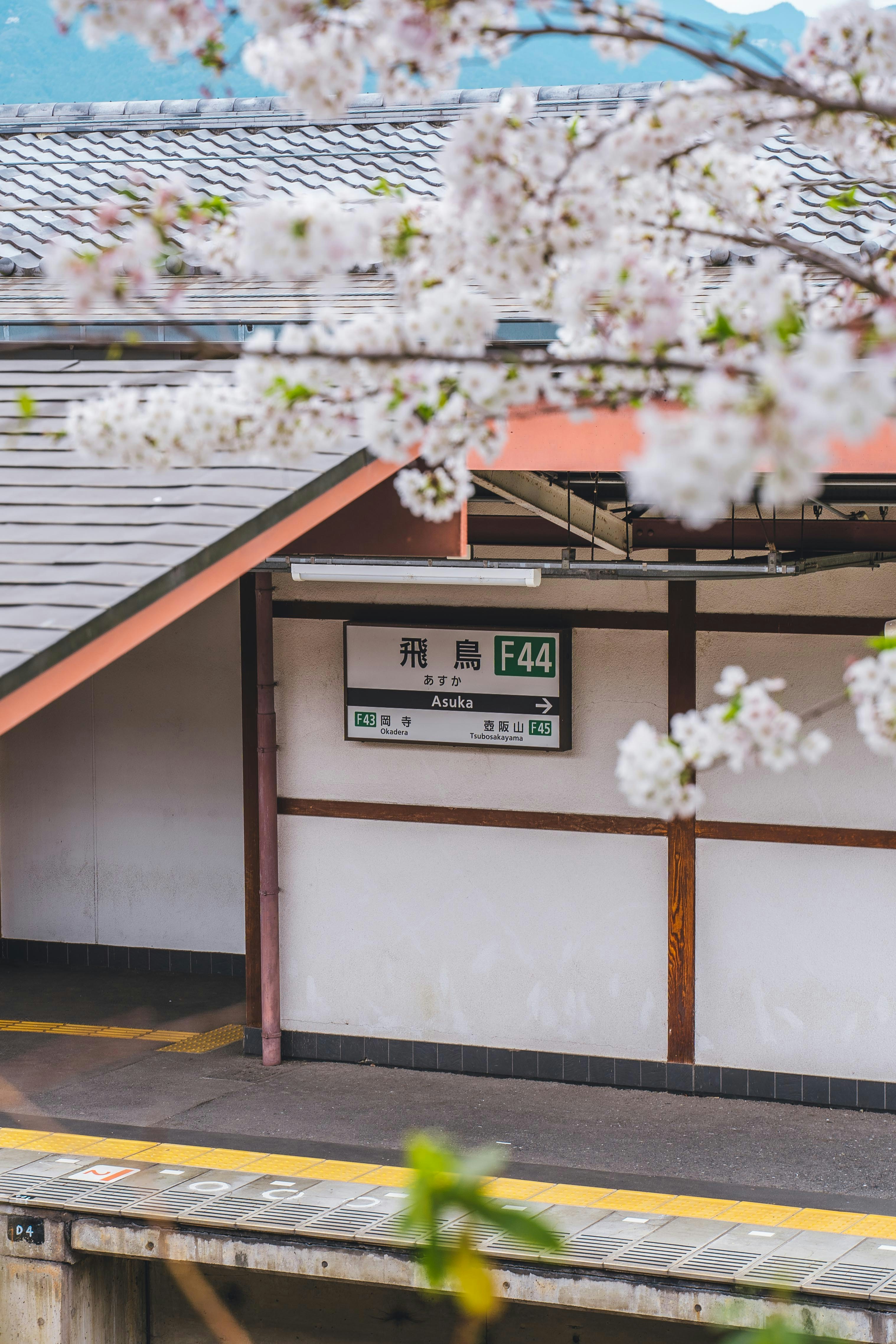 A train station with cherry blossom trees in the foreground photo ...