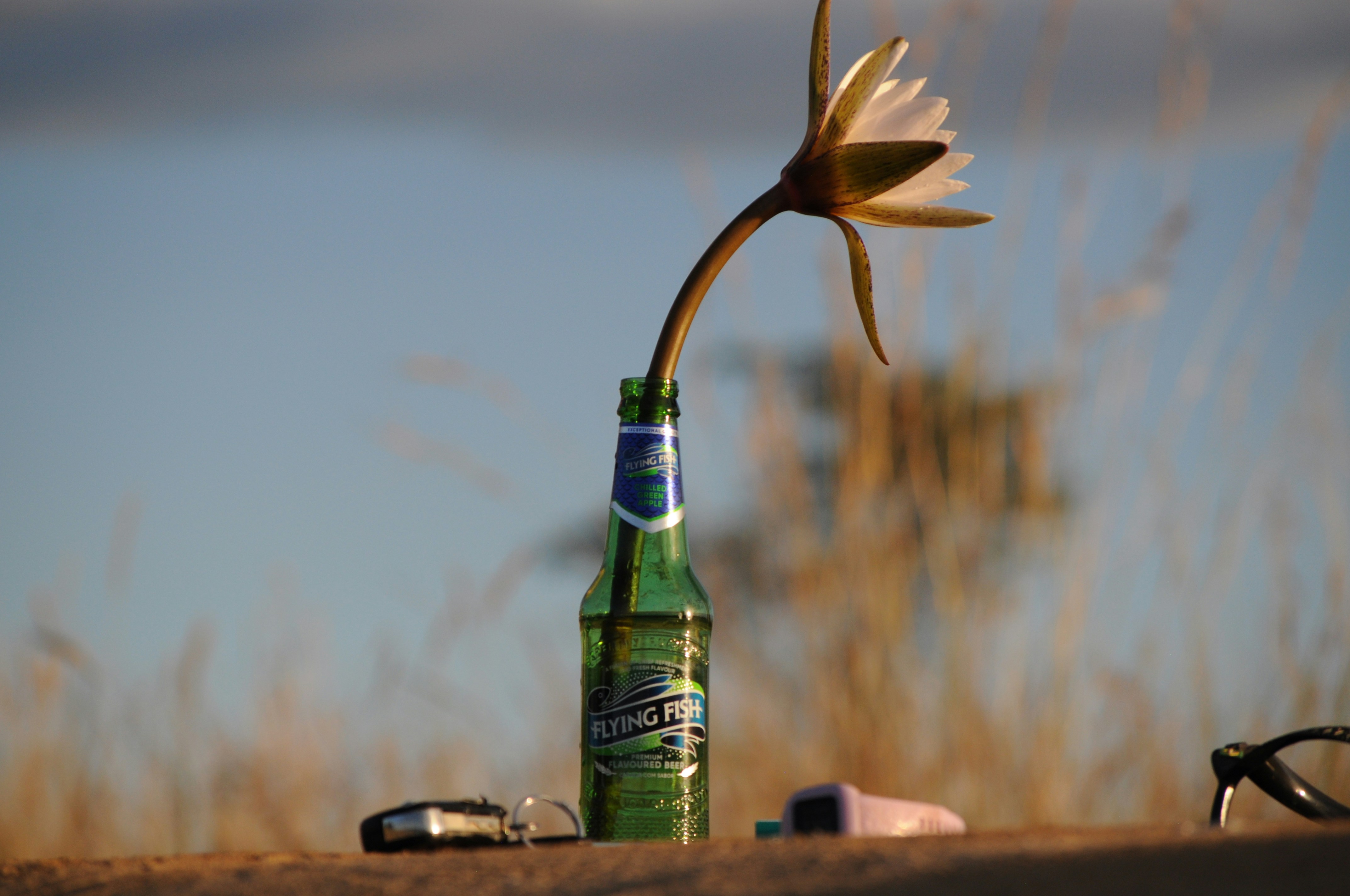 Photo by Niel de Villiers with Nikon D5000