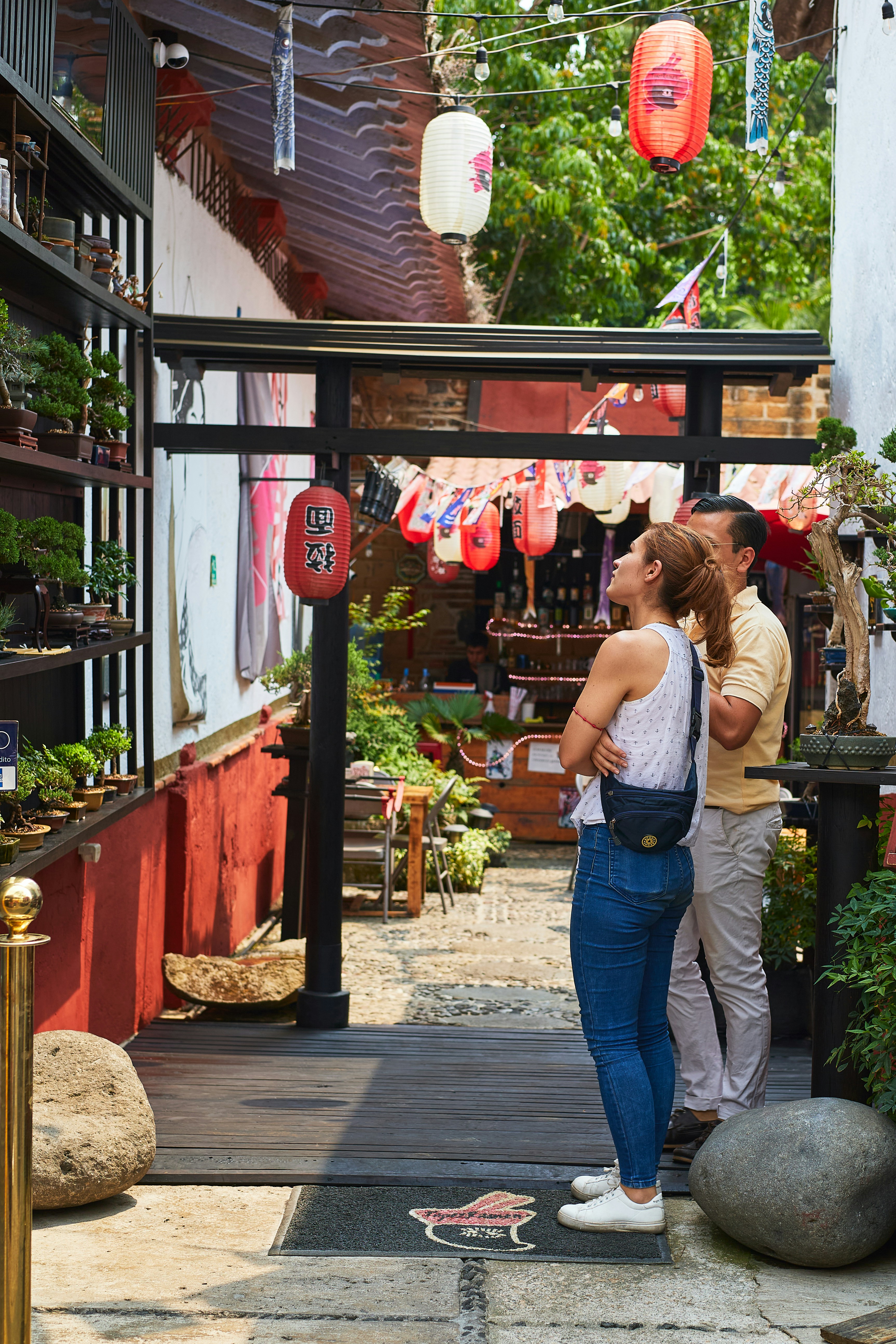 Couple in a Lantern-Lit Alleyway: Quiet Admiration among Shaded Pots