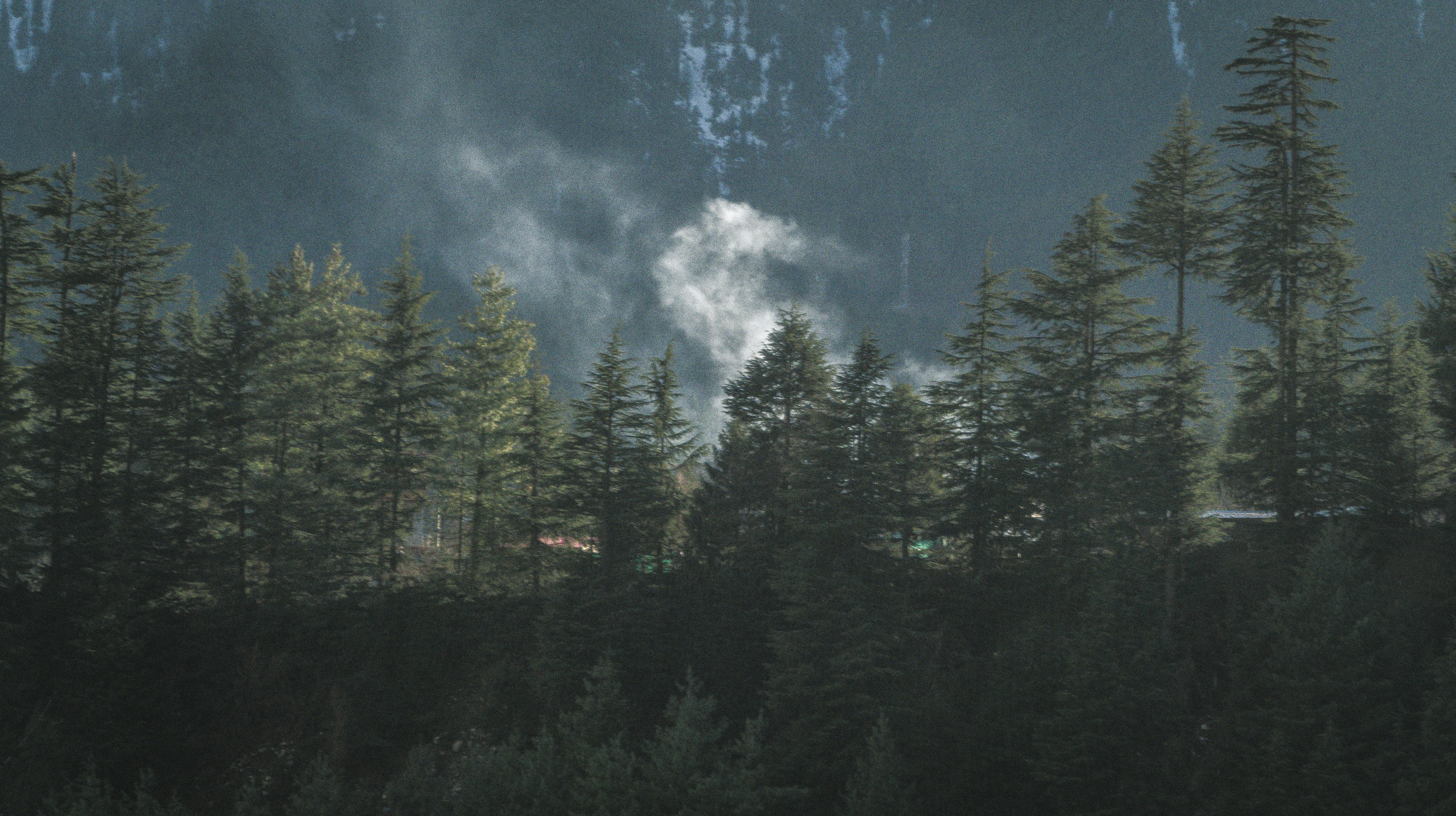 Smoke Veil Over Pines at Dusk