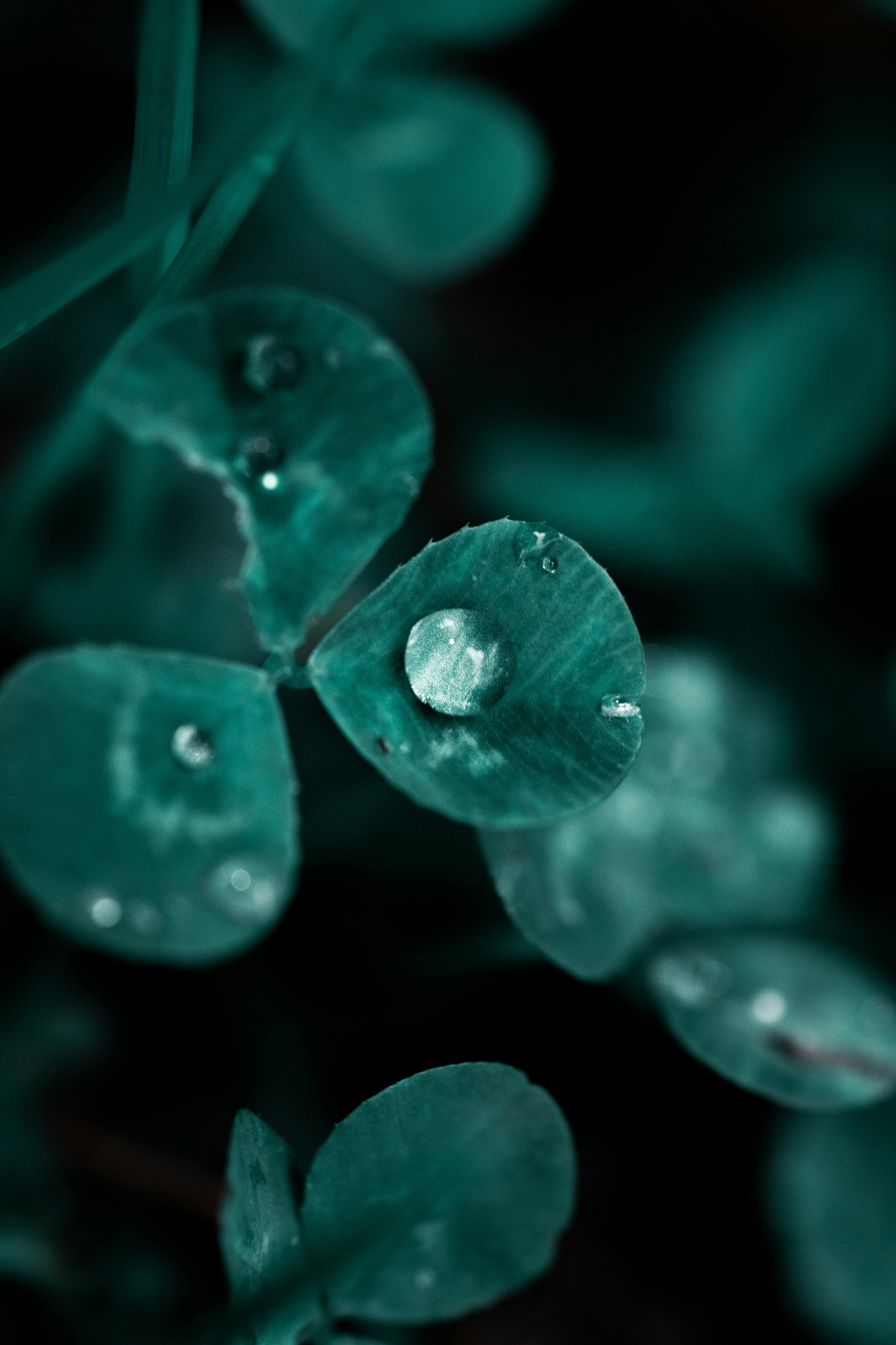 Photo by Gaurav Kumar with Sony Alpha 7C