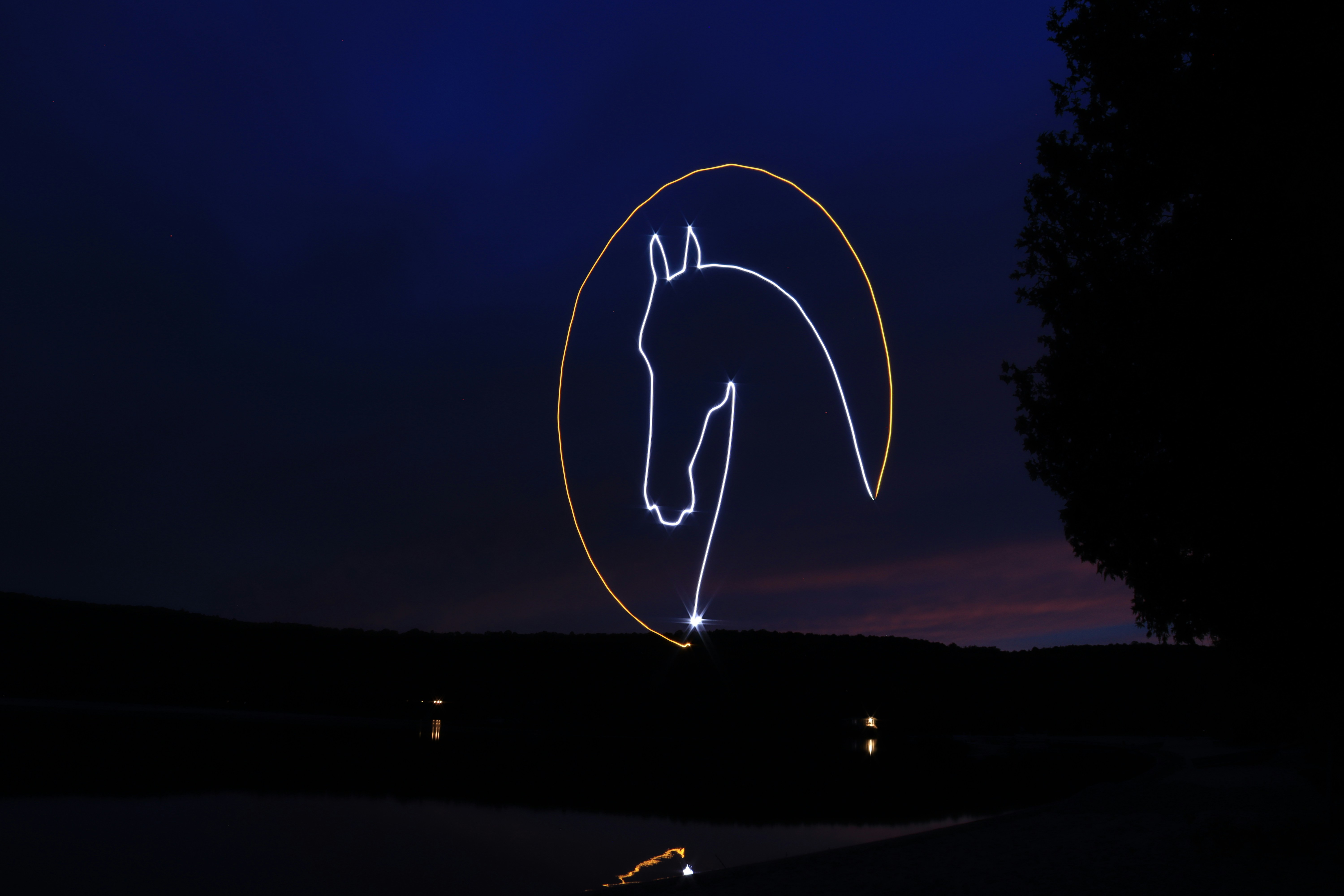 Night Equine Arc: Light Drawn Portrait of a Galloping Horse