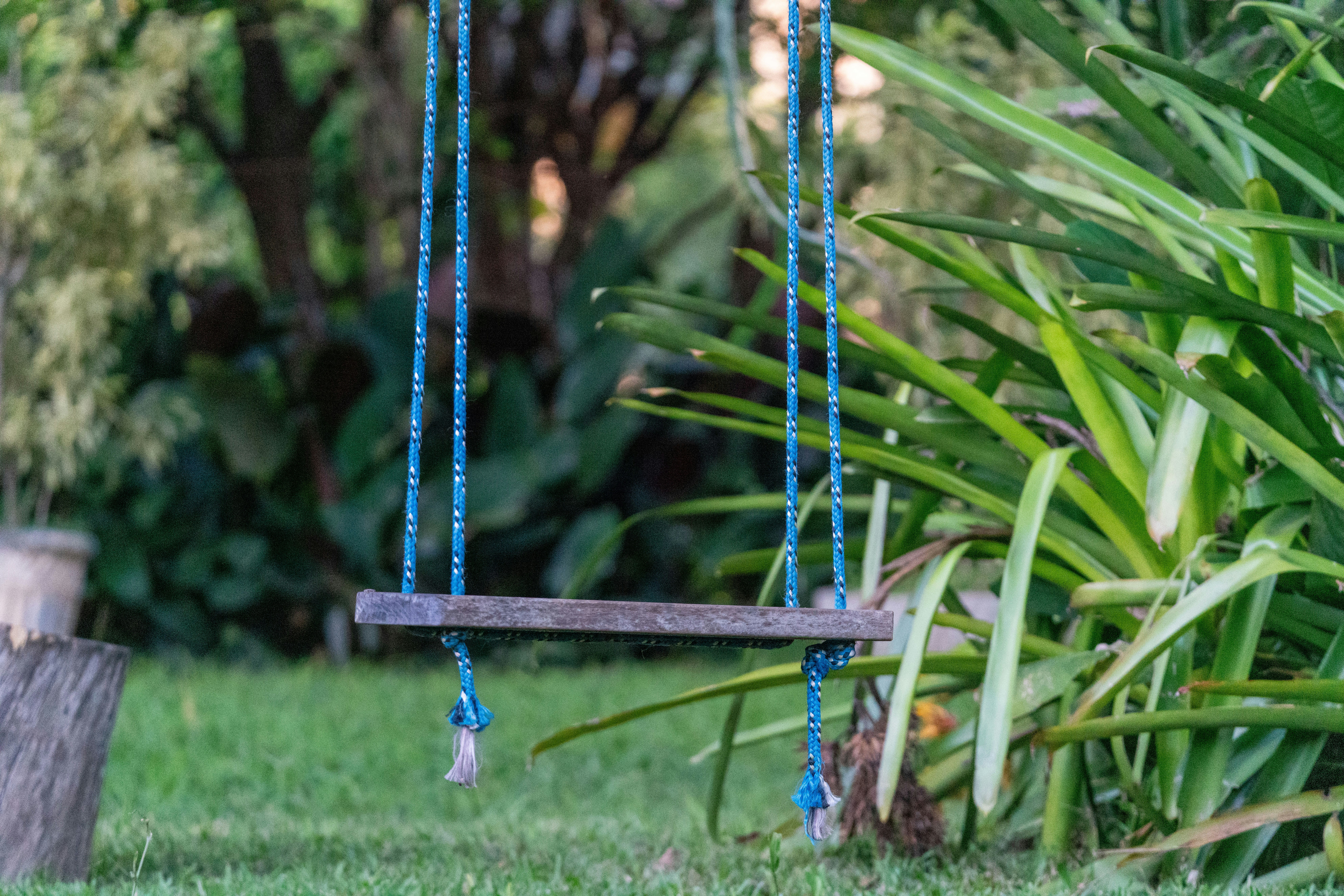 A wooden bench hanging from a blue rope photo – Free Toy Image on Unsplash