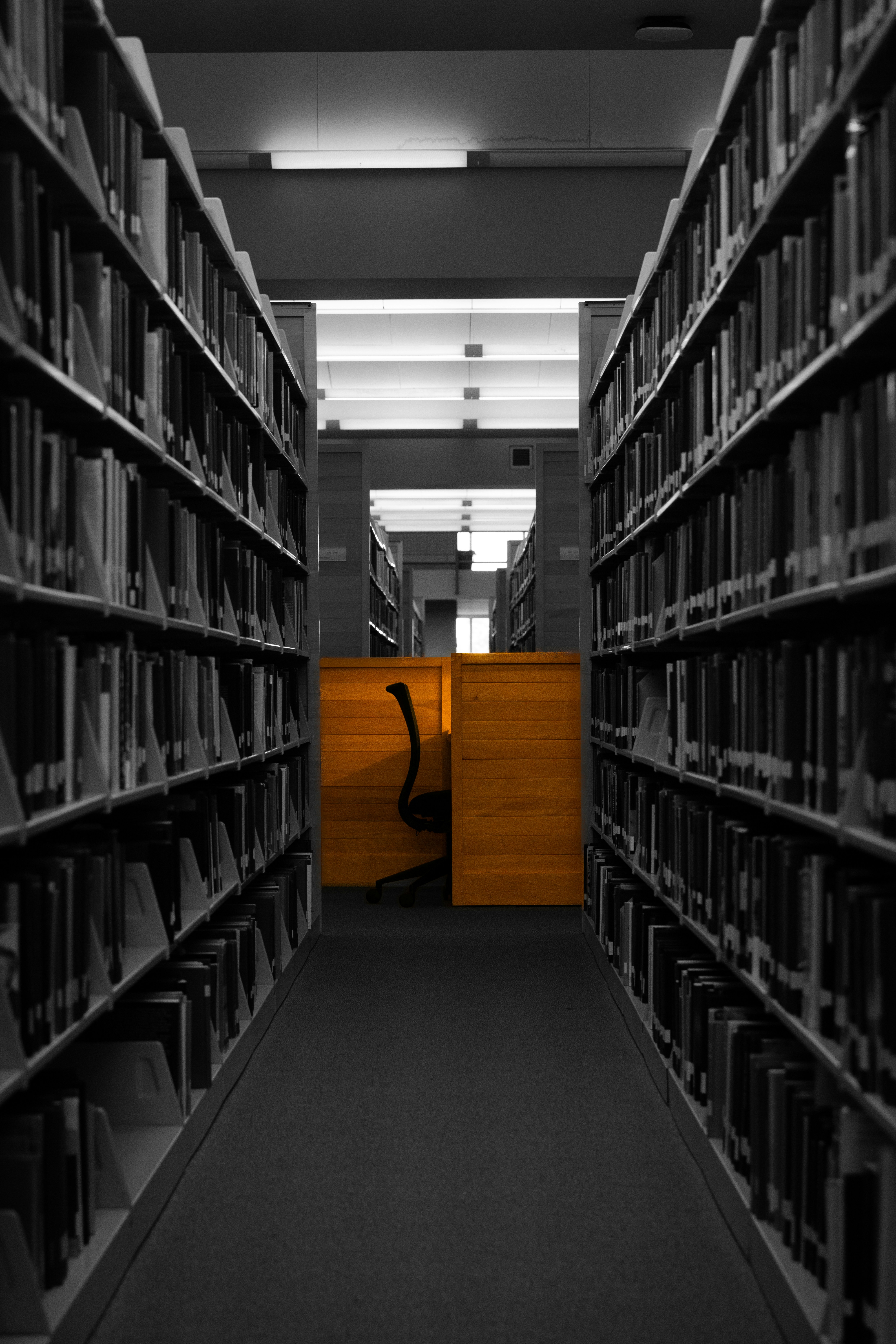 An empty library filled with lots of books photo – Free Building Image ...