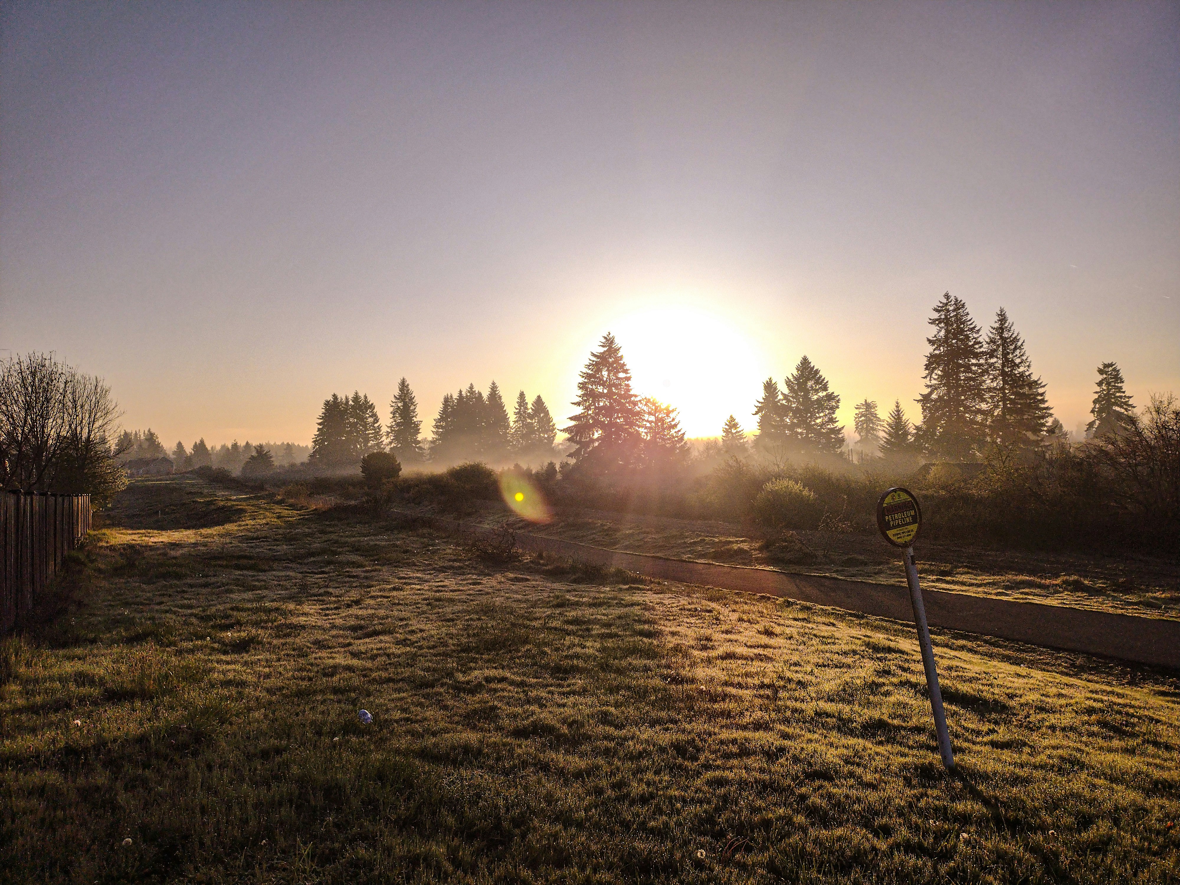 Sunrise casting golden hues over a frost-covered landscape with silhouetted trees and a misty horizon.