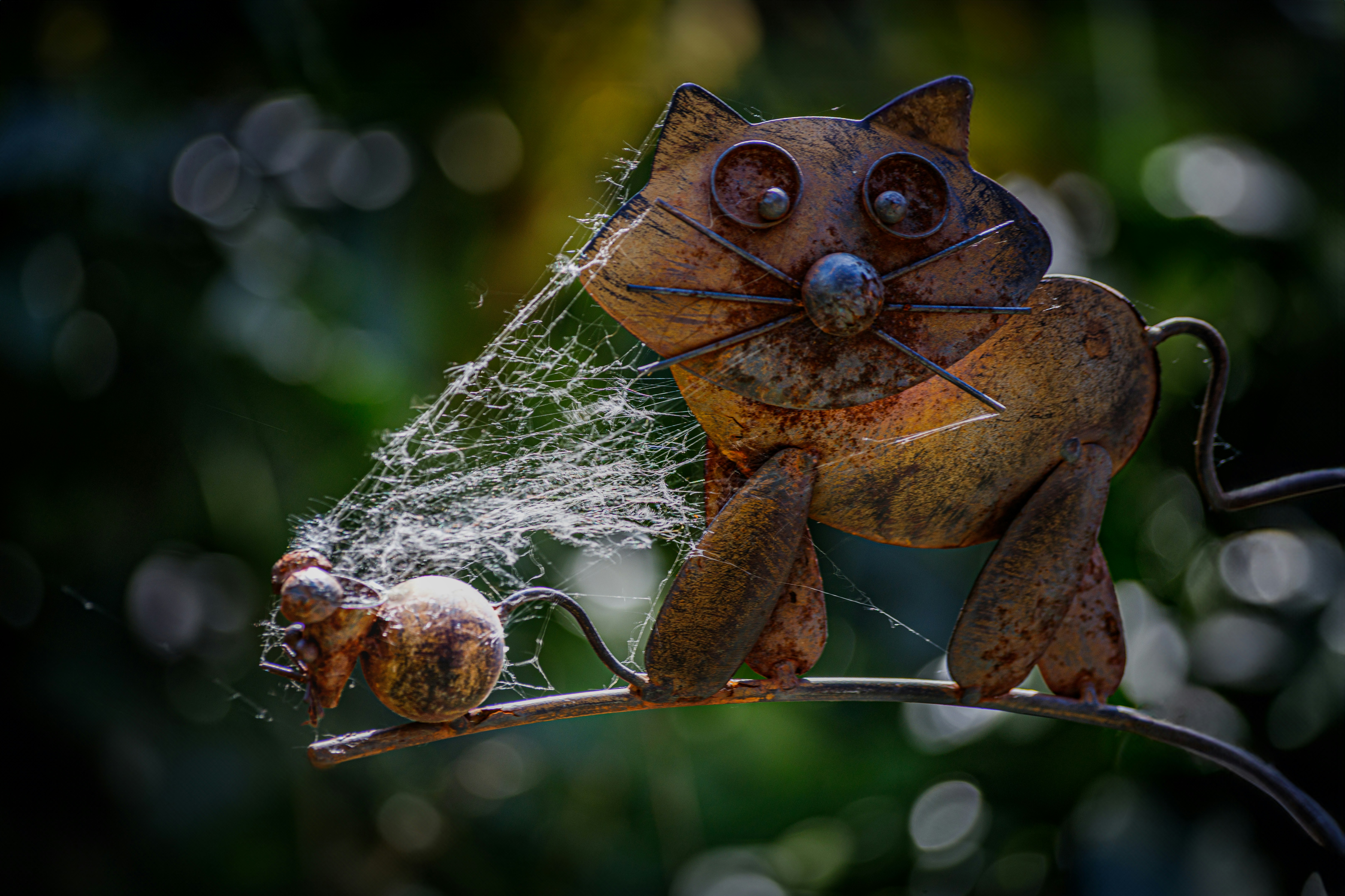 Rusted Cat on a Curved Wire, Spun with Spider Silk
