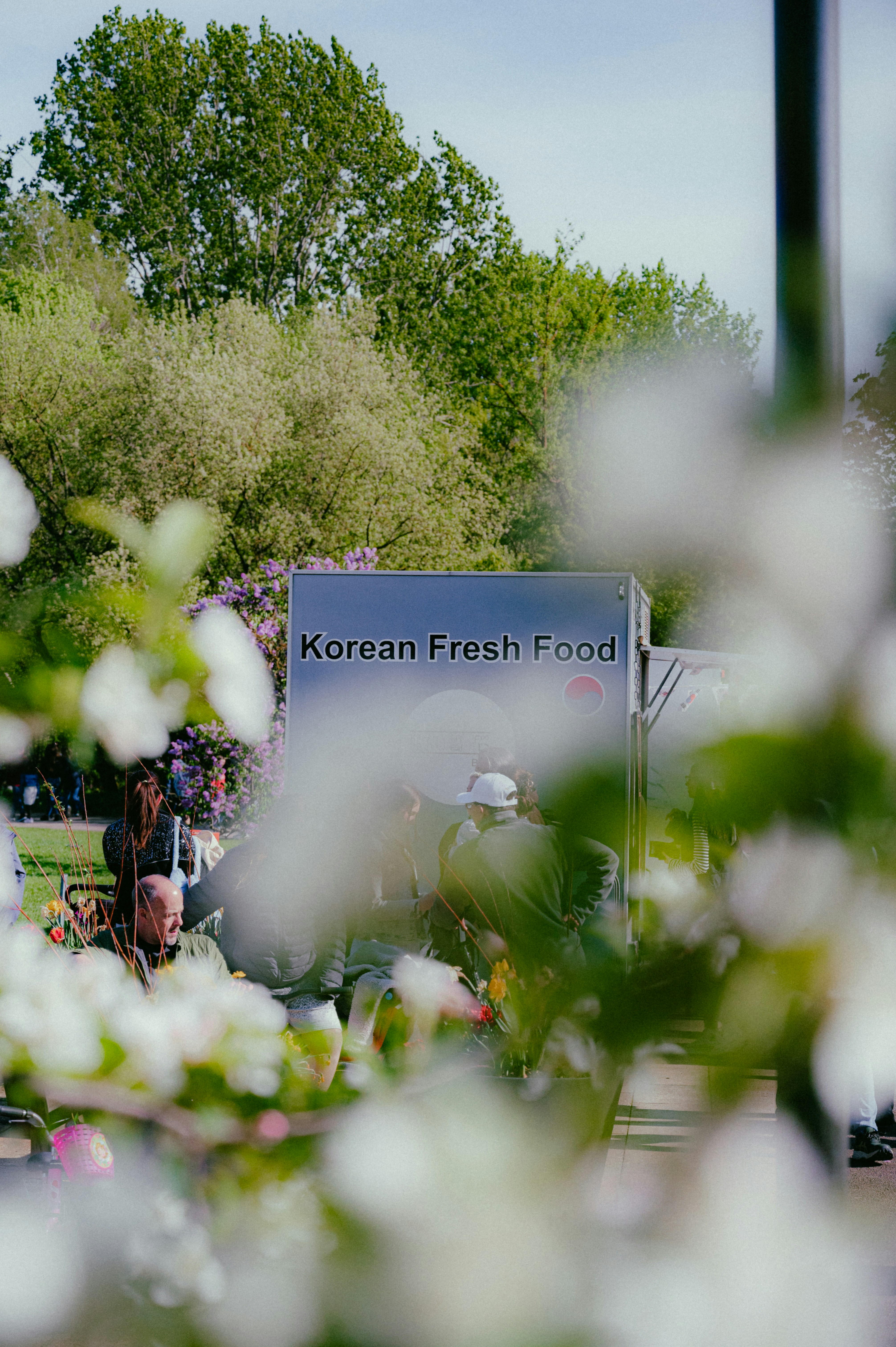 Bloom-Framed Korean Fresh Food Sign Emerges Through White Petals