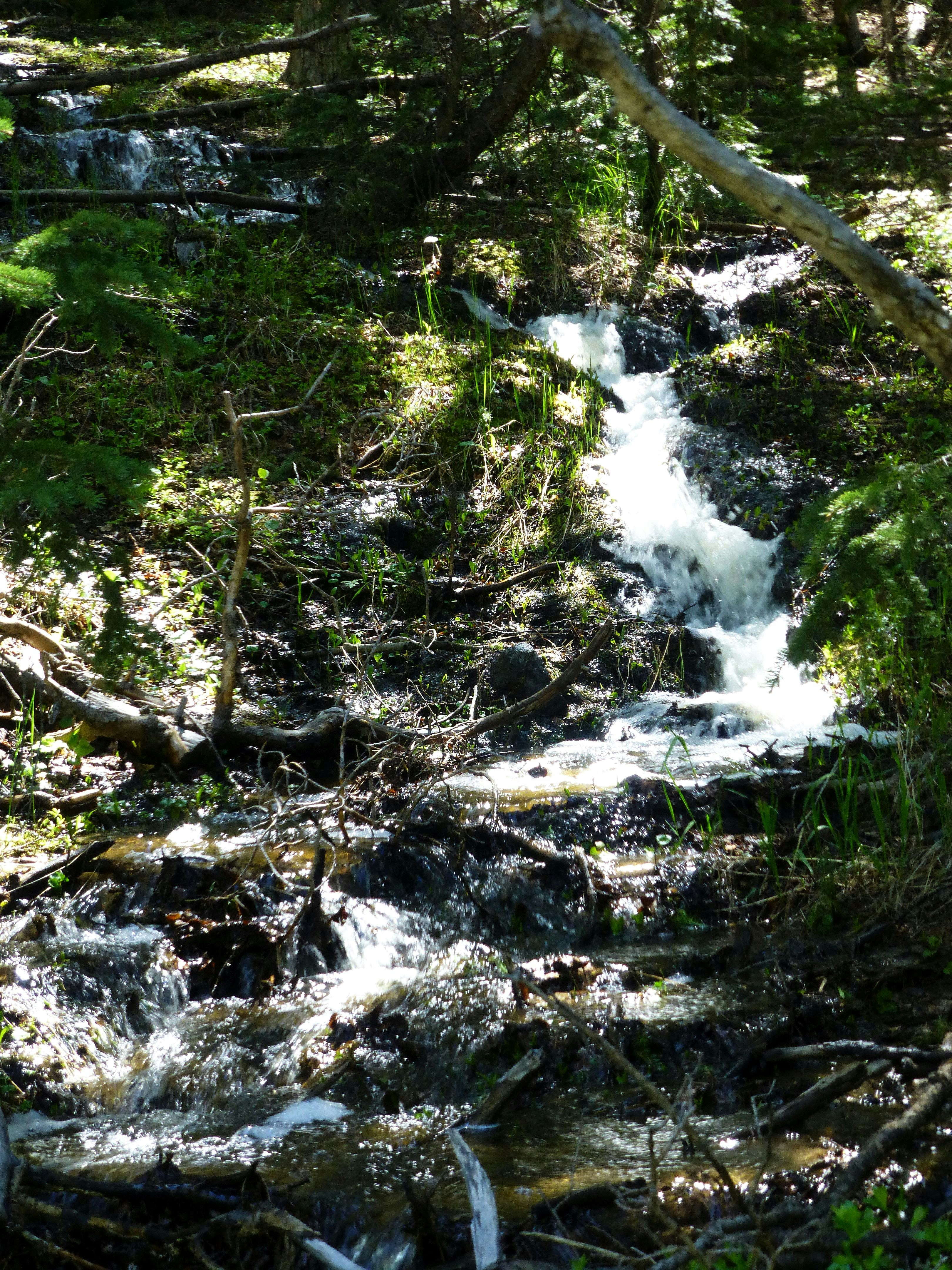 A gentle stream cascading through a lush forest, illuminated by dappled sunlight filtering through the trees.