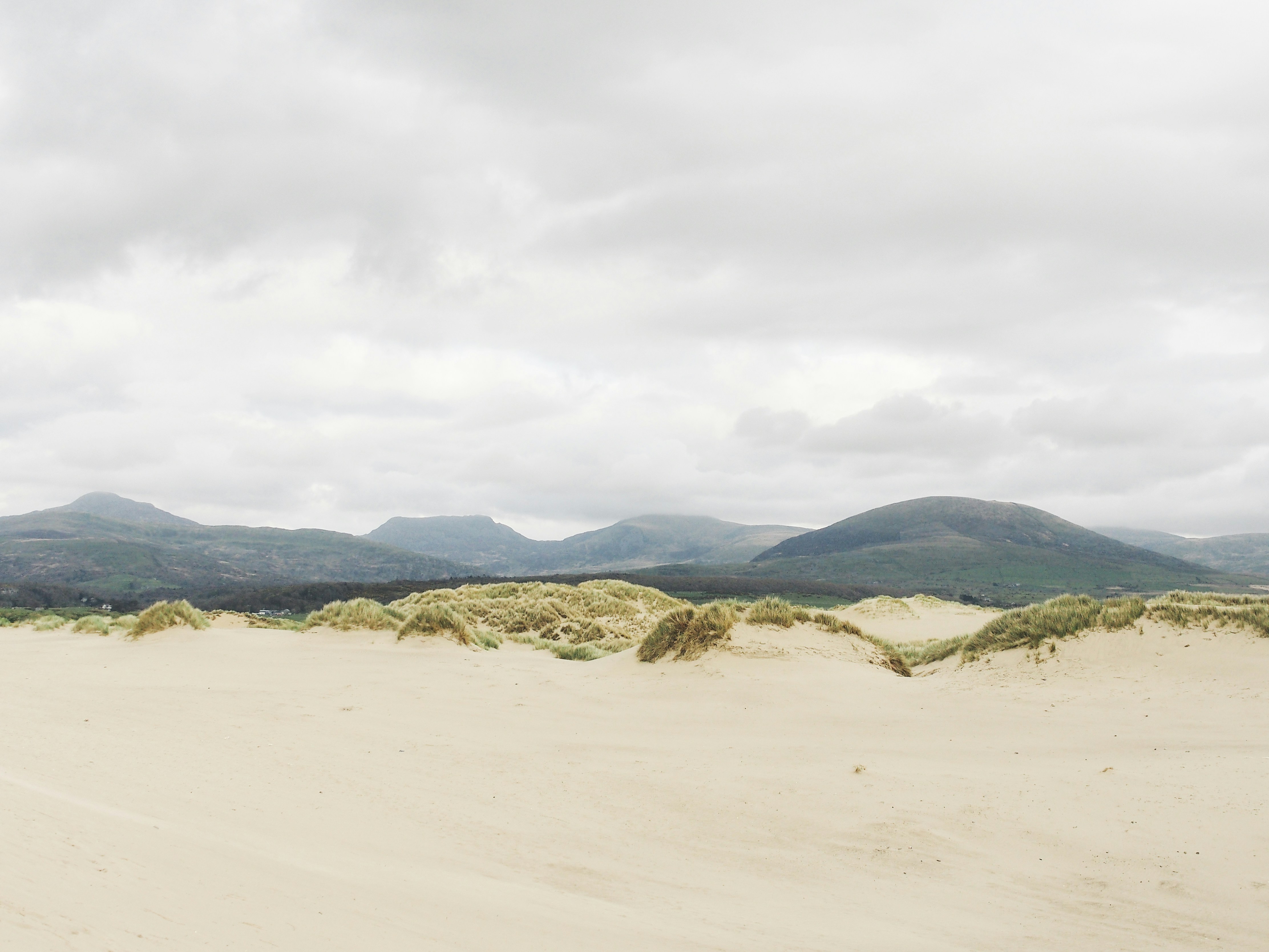 Grayscale Dunes: Quiet Coastal Ridge Beneath a Cloudy Sky