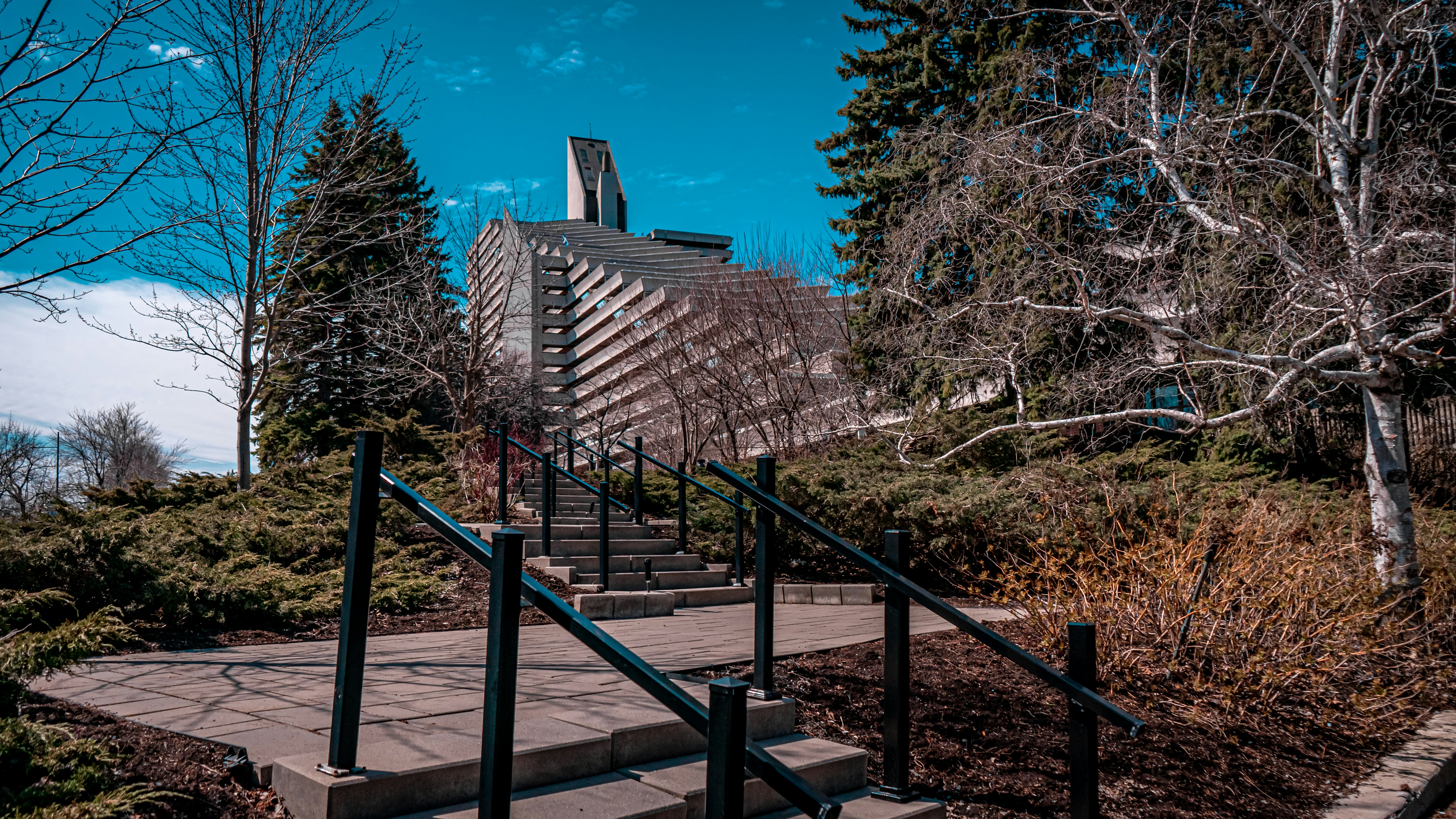 Photo by César_Tv with Sony Alpha 7 II