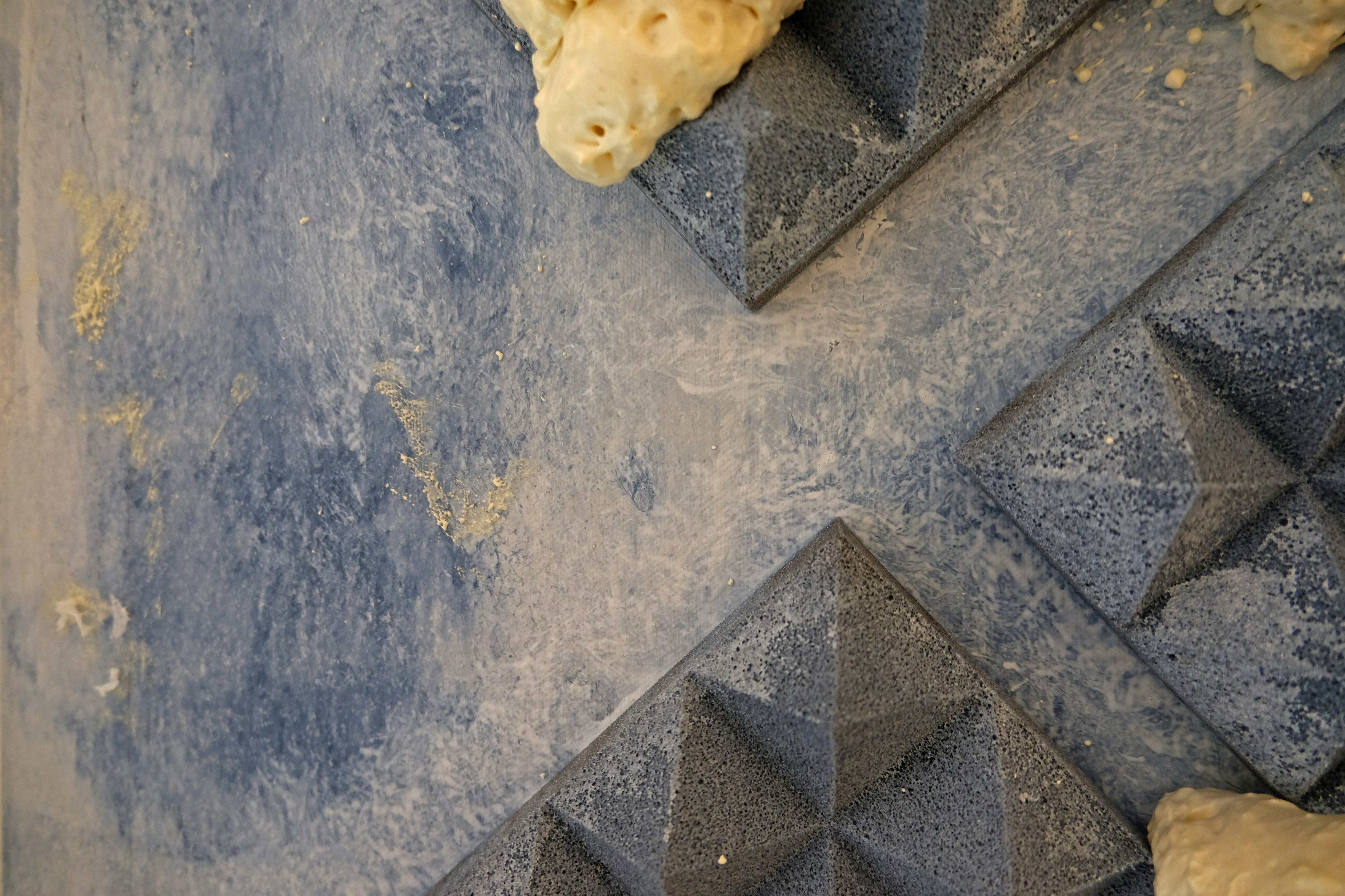 Photo by Vanburn Gonsalves with Fujifilm X-T10