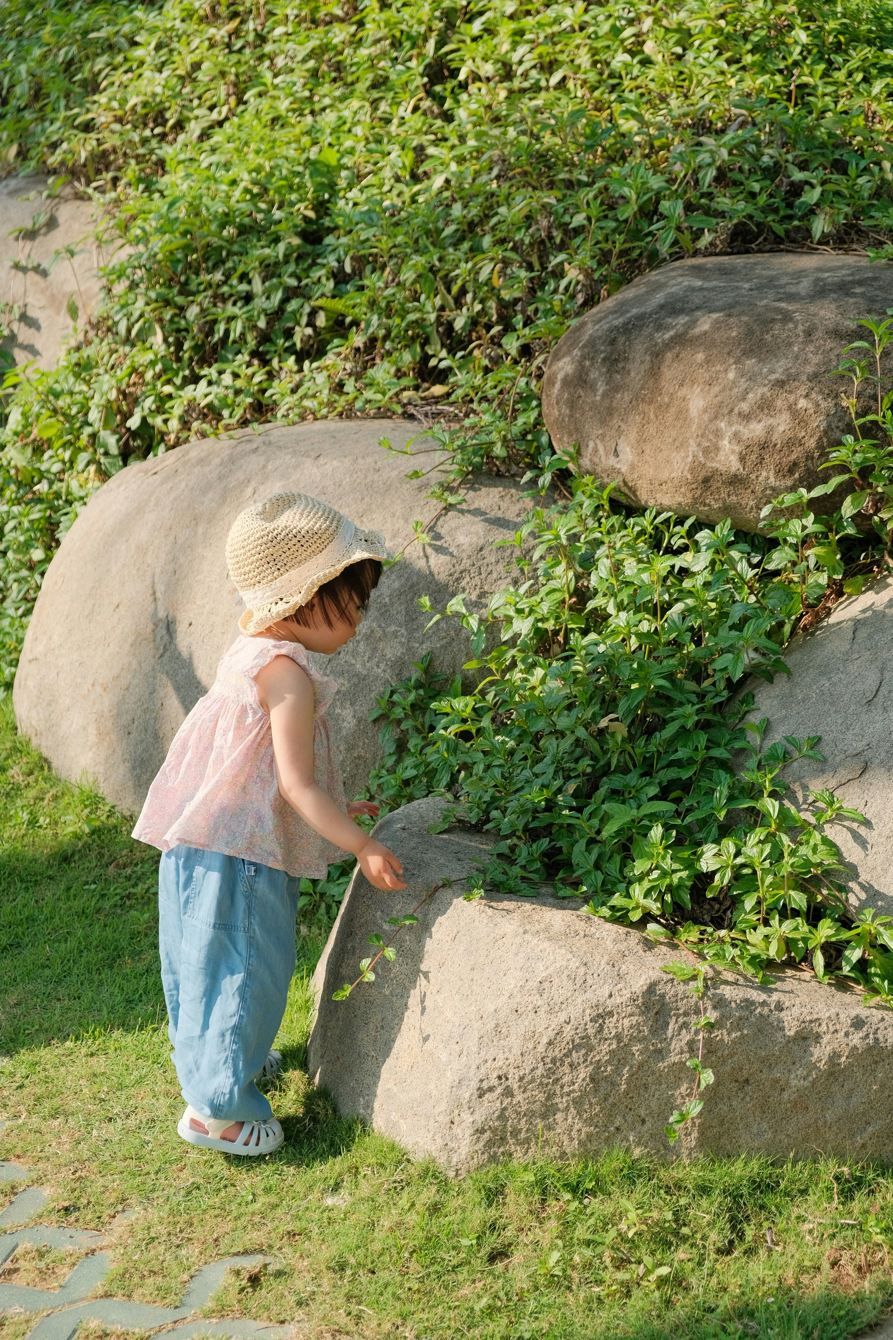 Granite Garden Explorer: A Child's Quiet Curiosity by Sunlit Rocks