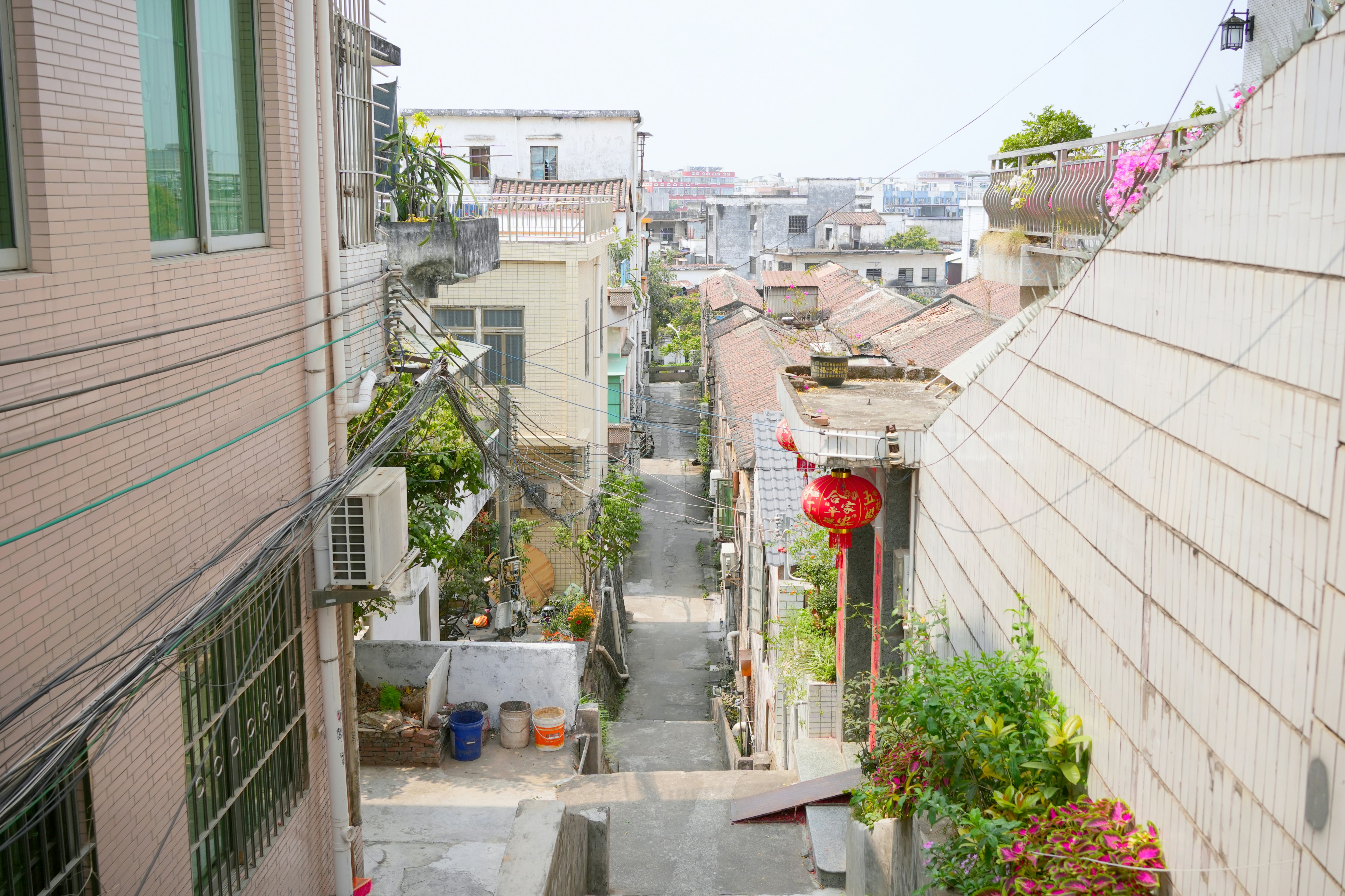 Narrow alleyway between residential buildings on a bright day, adorned with potted plants and overhead wires.