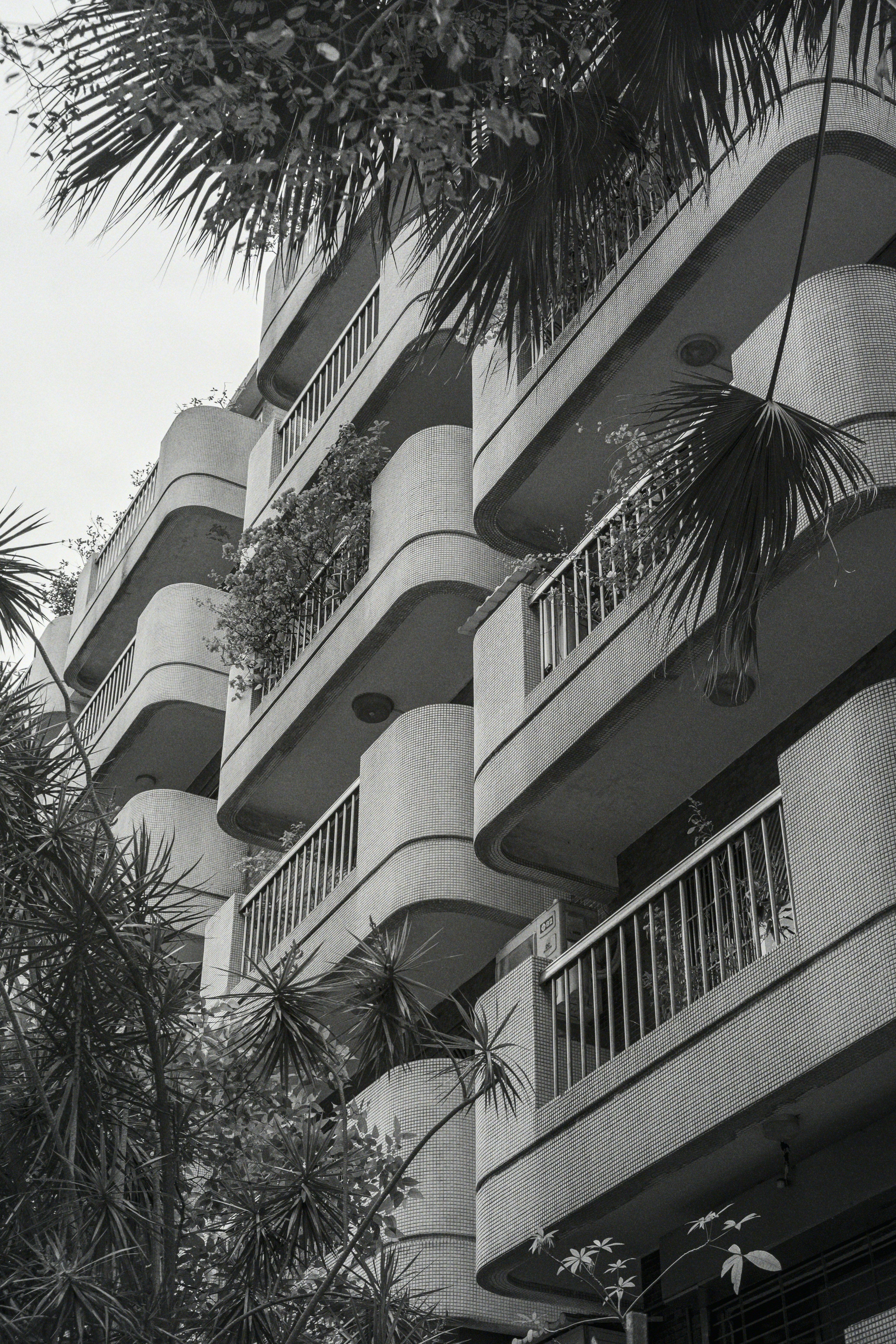 The multi-story building with geometric balconies bathed in soft light, blends urban and natural aesthetics.