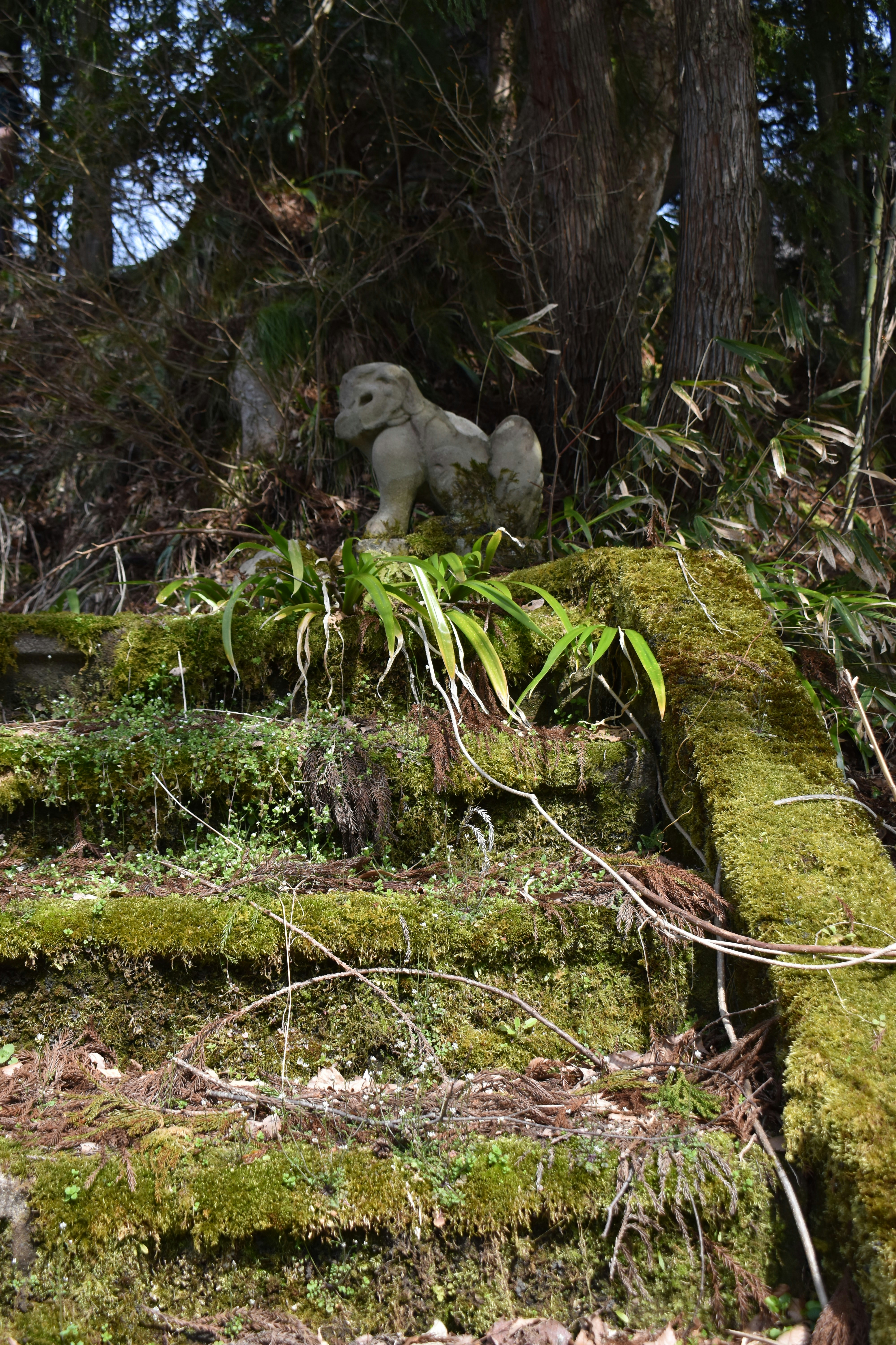 Stone Sentinel Among Mossy Steps