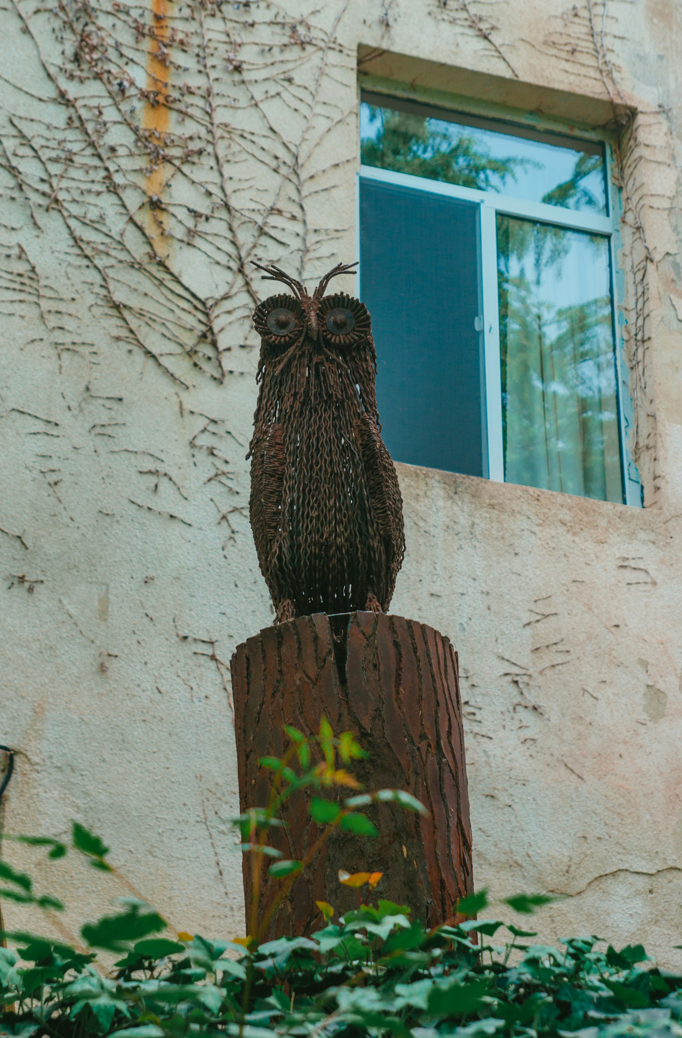 Owl Sentinel on a Bark Pedestal Against a Sunlit Stucco Wall