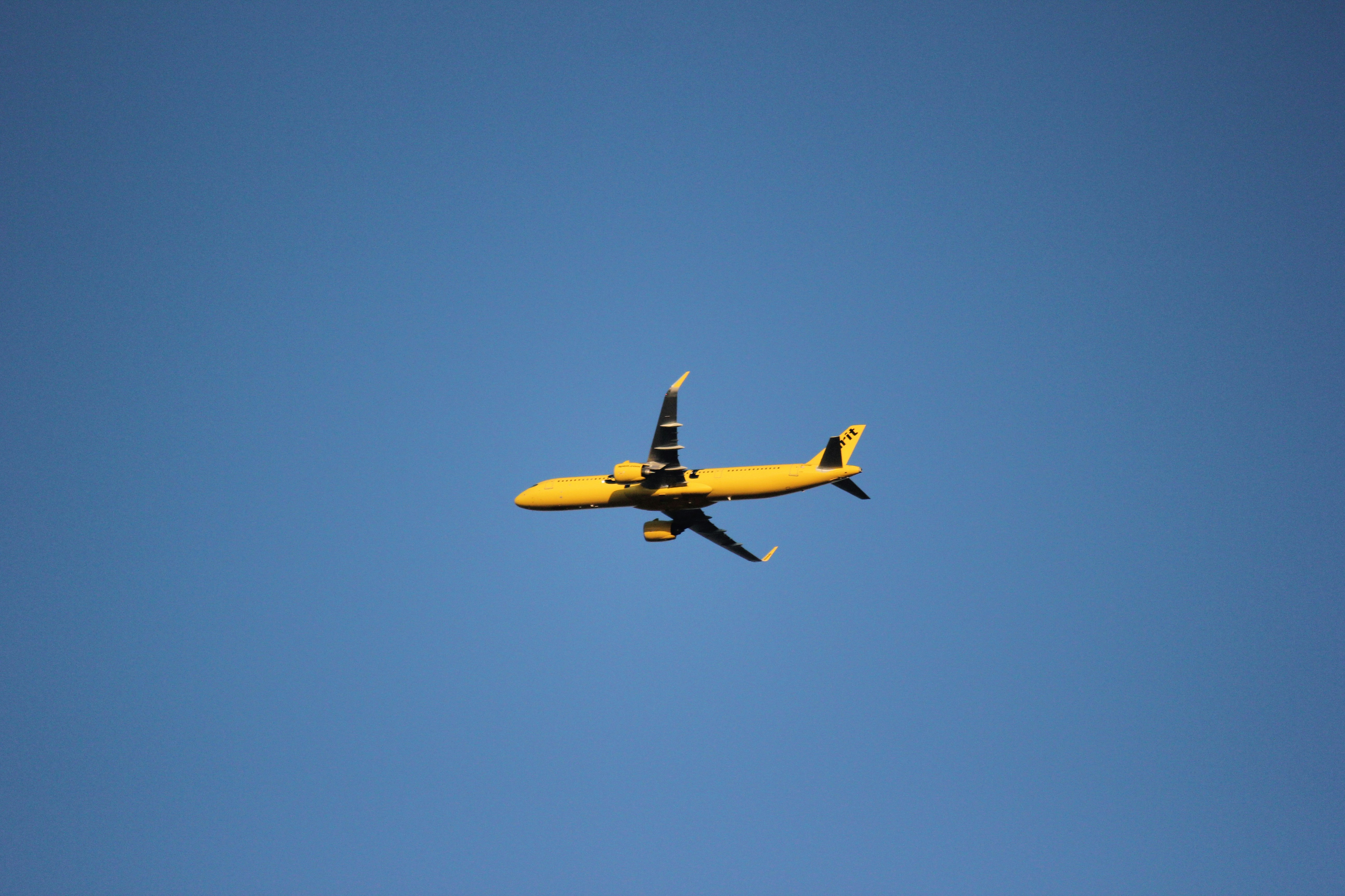 A yellow airplane flying through a blue sky photo – Free Animal Image ...