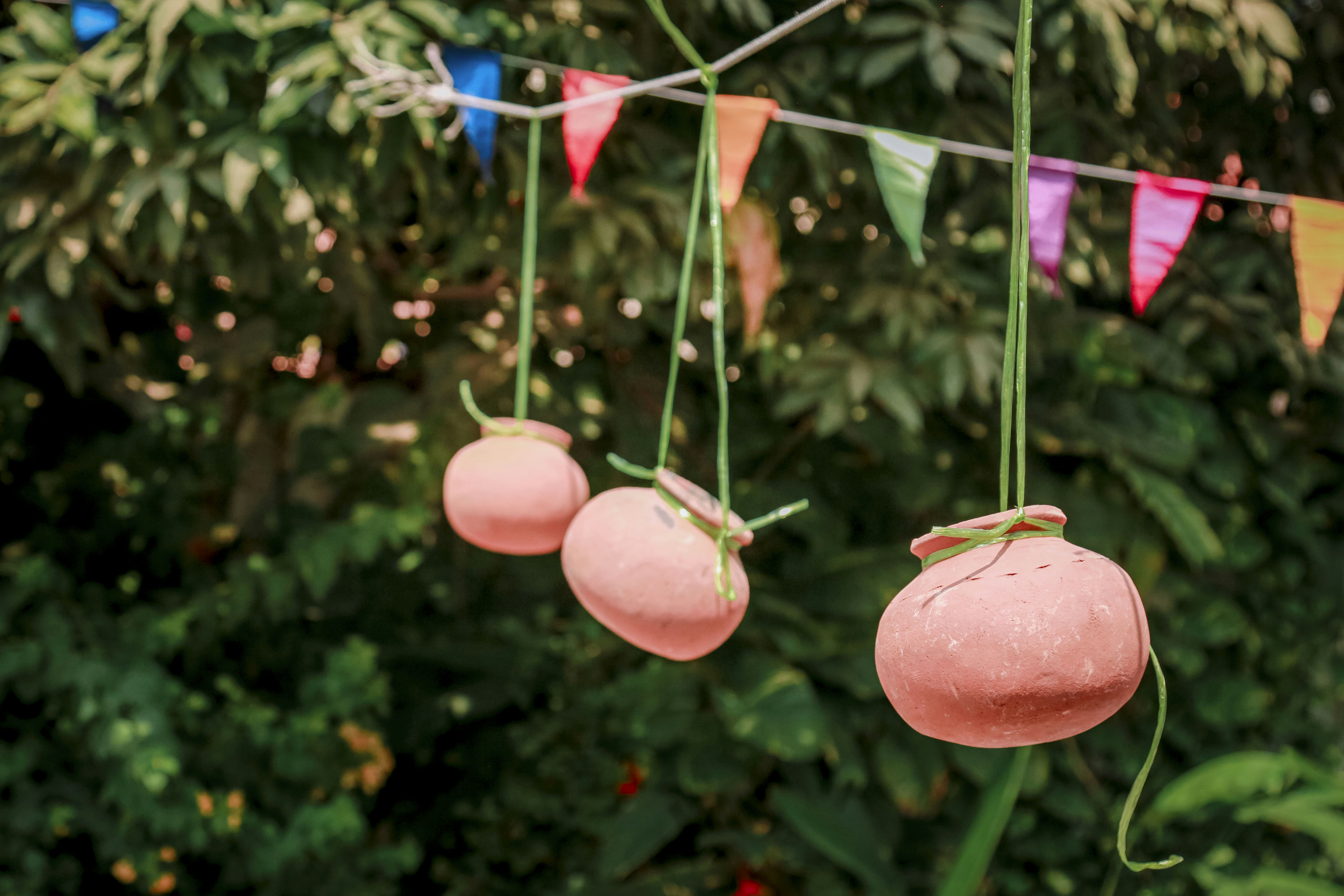 A string of pink donuts hanging from a line photo – Free Khmer new year ...