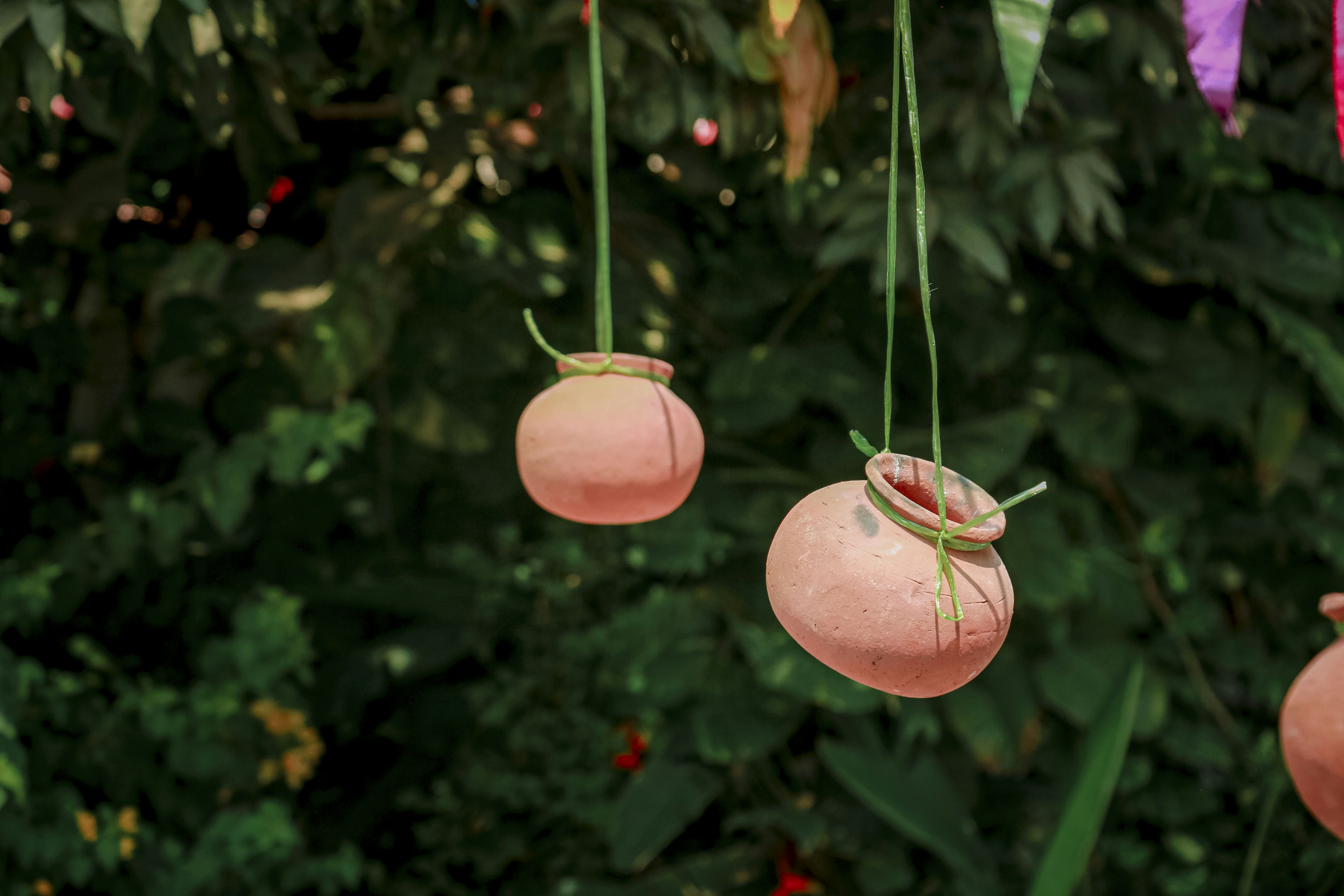 A group of hanging objects in a forest photo – Free Khmer new year ...