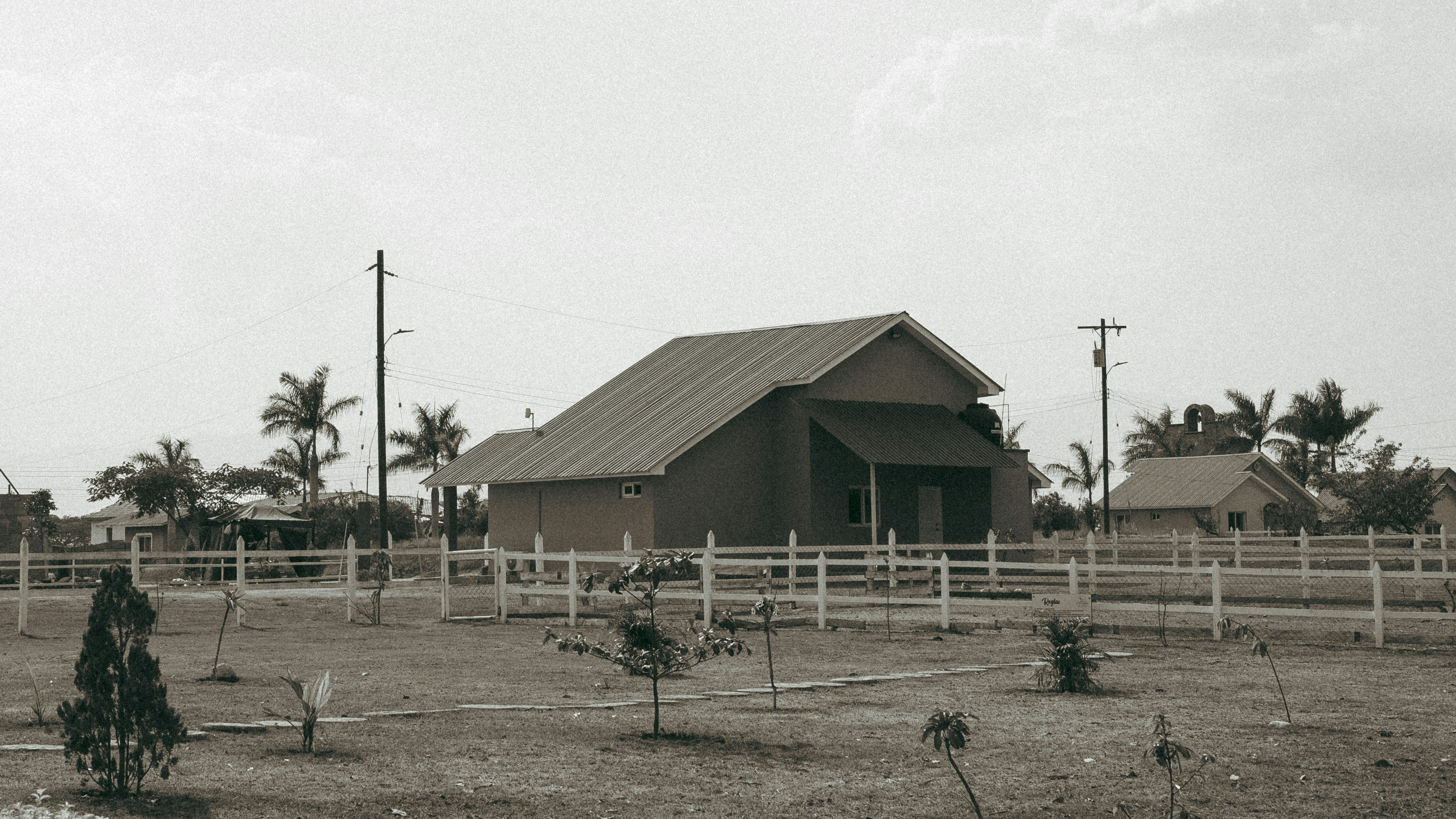 Monochrome Farmstead: White Fence, Palm Trees, and a Metal Roof